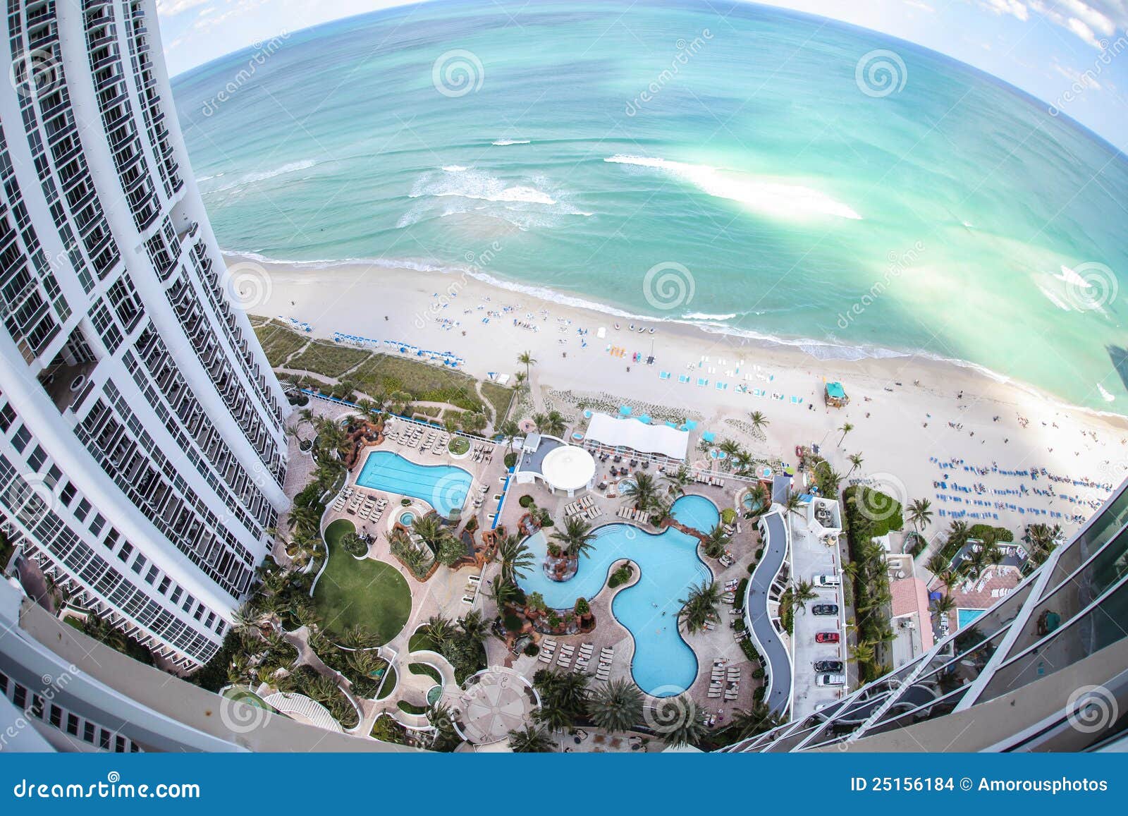 Trump towers in Miami stock photo. Image of city, house - 25156184