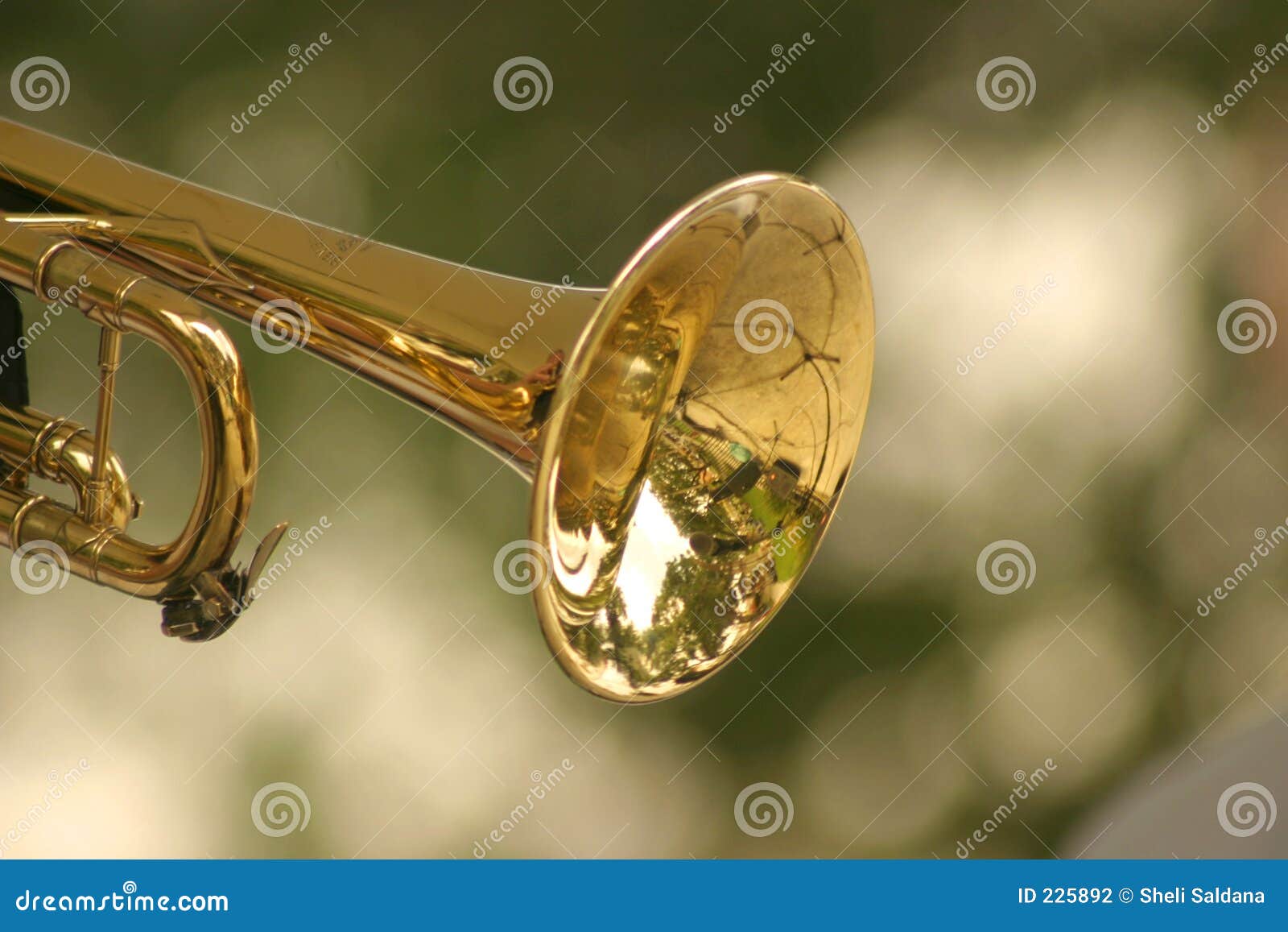 Trumpet stock photo. Image of harmony, instrument, trumpet - 225892