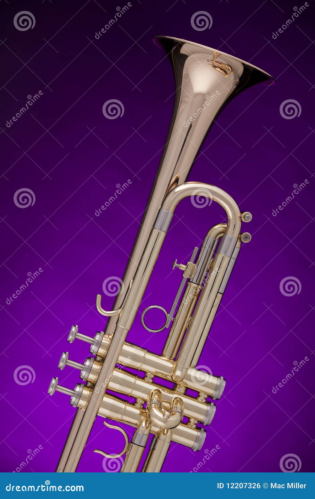 Trumpet Gold Isolated on Purple Stock Photo - Image of entertainment ...