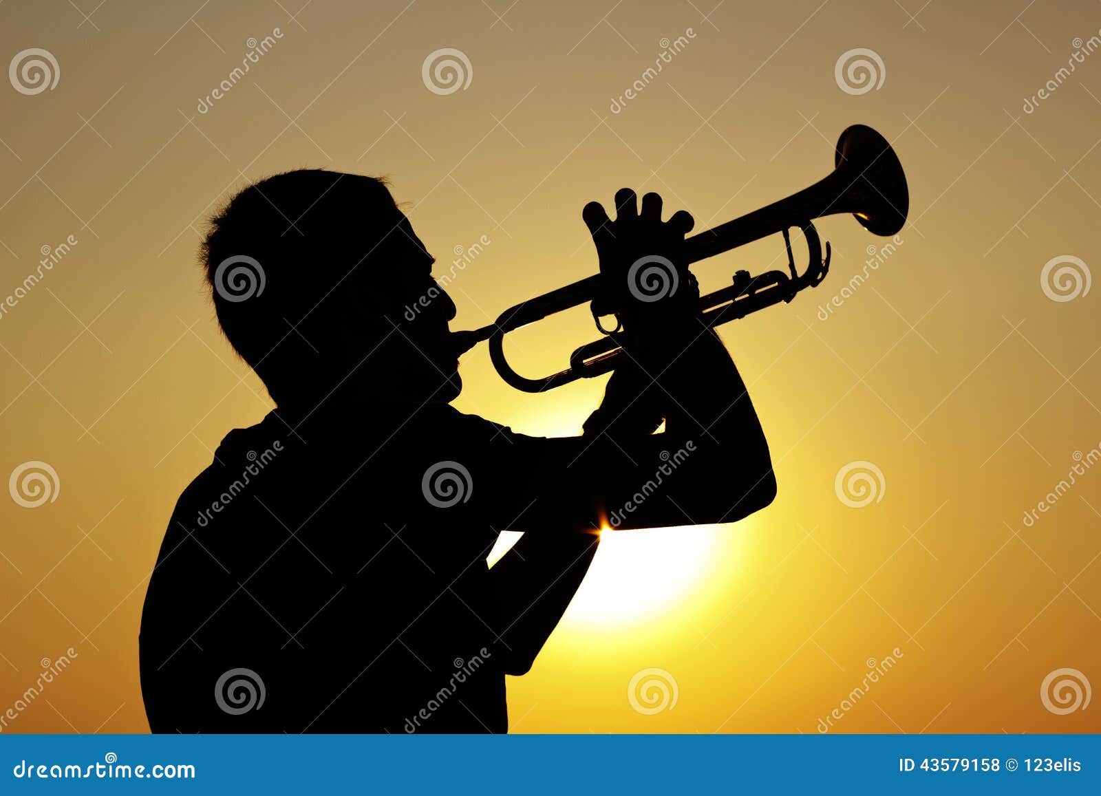 Female Trumpet Player Silhouette