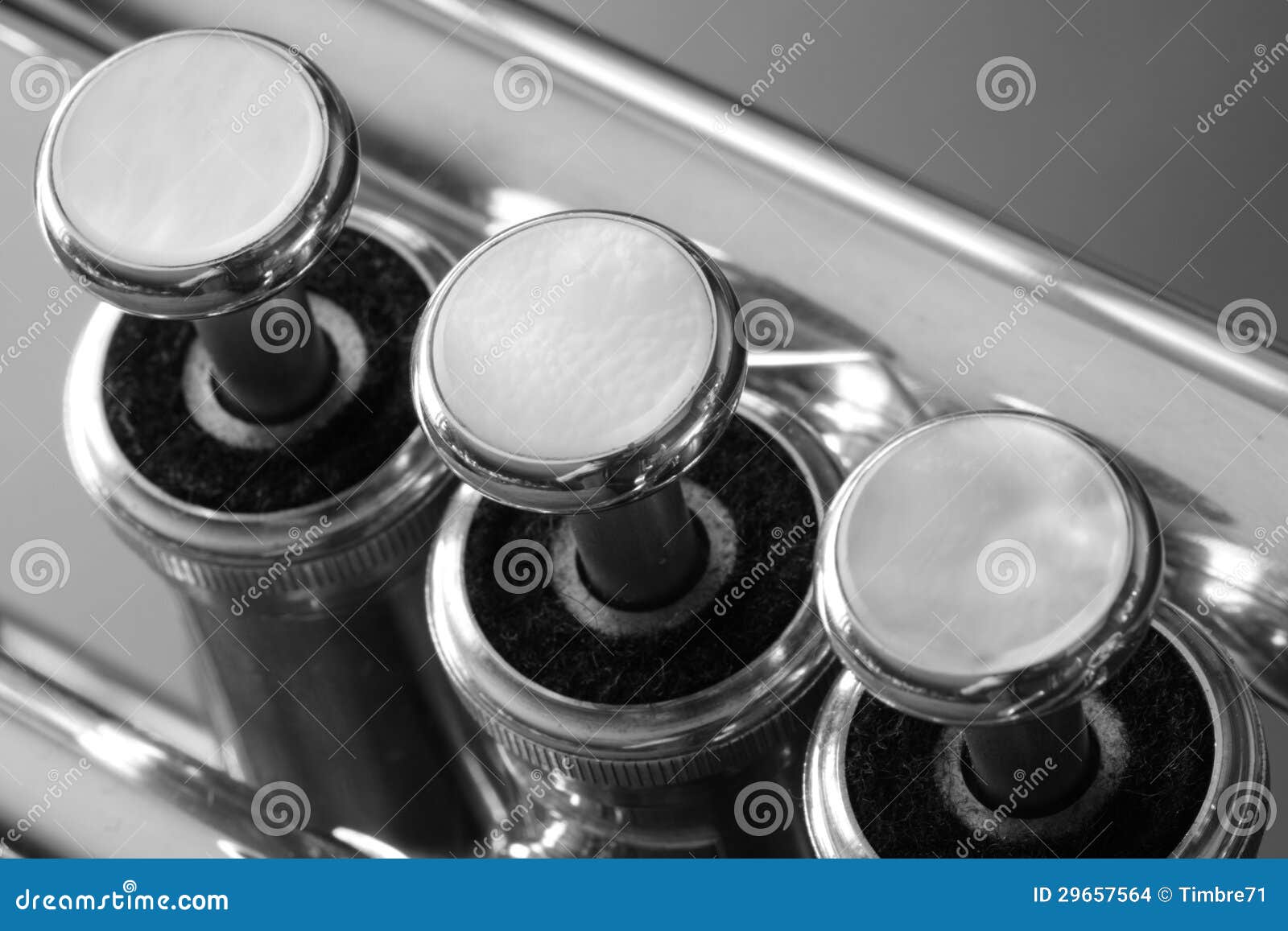 Trumpet Valves stock photo. Image of classical, white - 29657564
