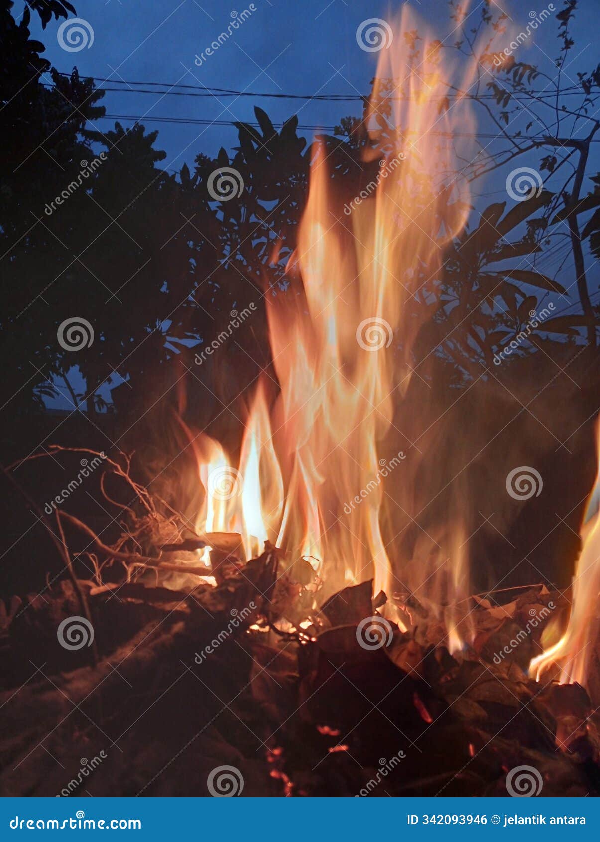 Trunk Burning Fire at the Night Stock Photo - Image of : 342093946
