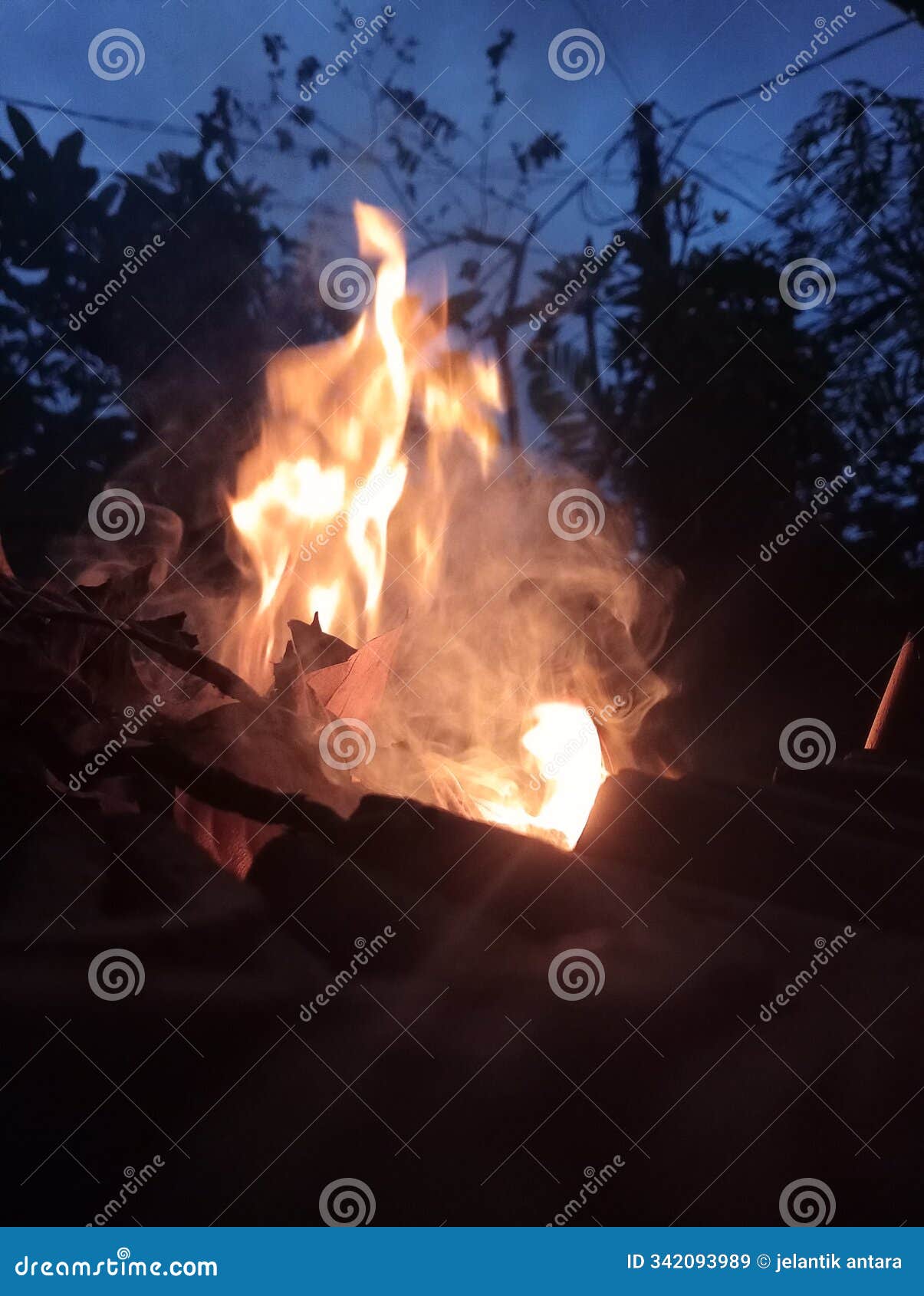 Trunk Burning Fire at the Night Stock Image - Image of burn, night ...