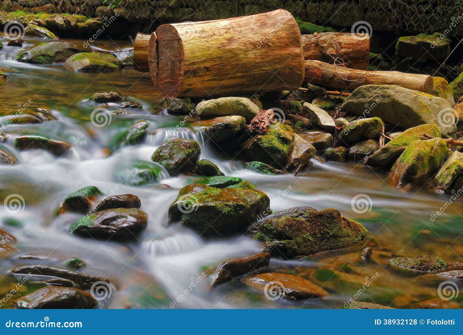 Trunk cut stock photo. Image of spring, nature, color - 38932128