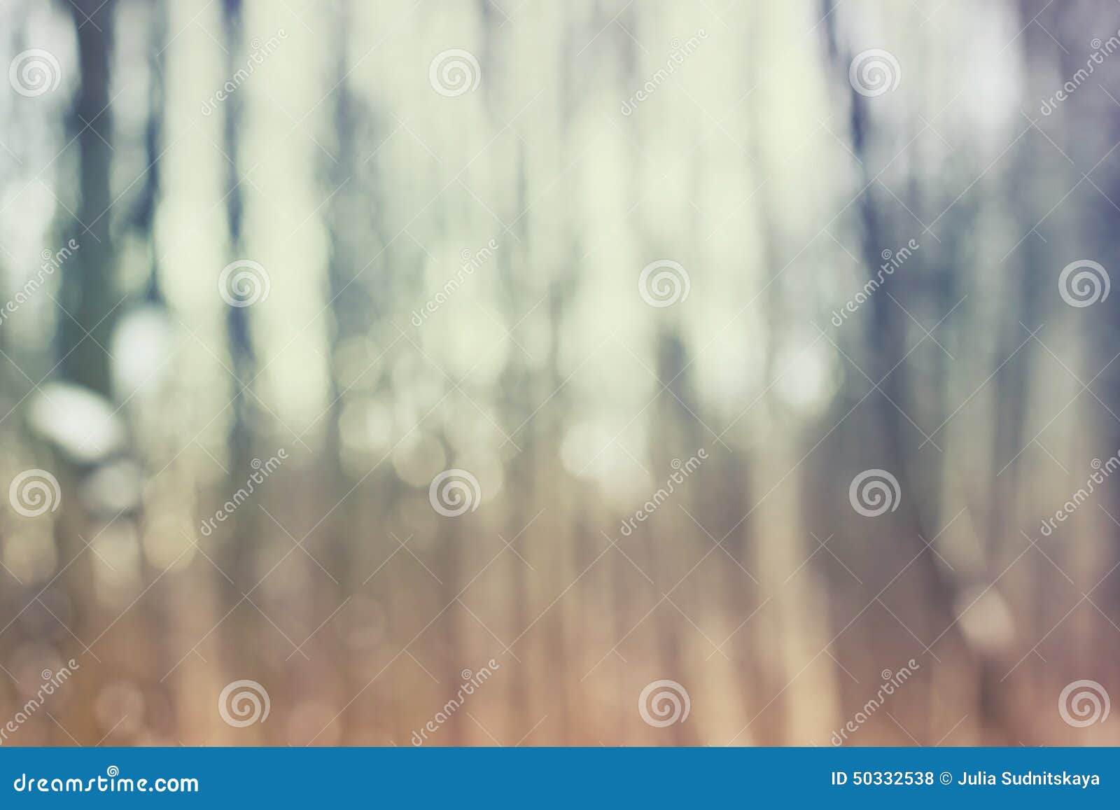 Trunk of a Tree in Magic Forest Out of Focus, Abstract Background Stock ...
