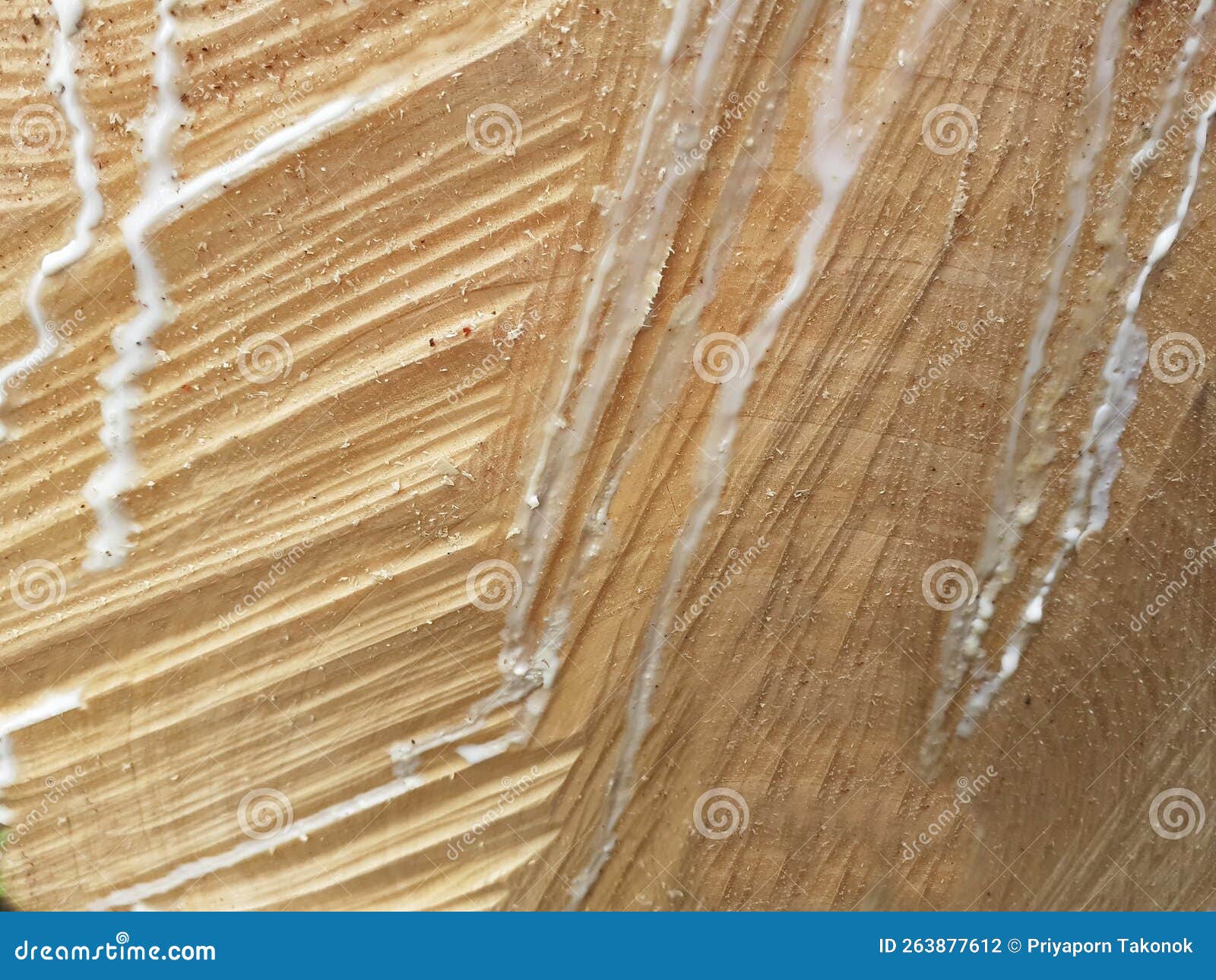 Trunk Wood Texture, Natural Pattern with Light Brown Line Background ...