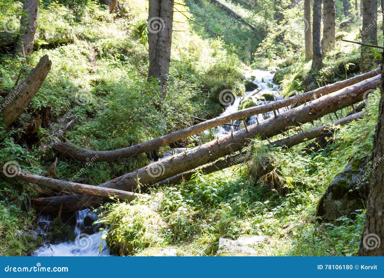 Trunks of Trees Fallen Across the River Stock Photo - Image of falling ...