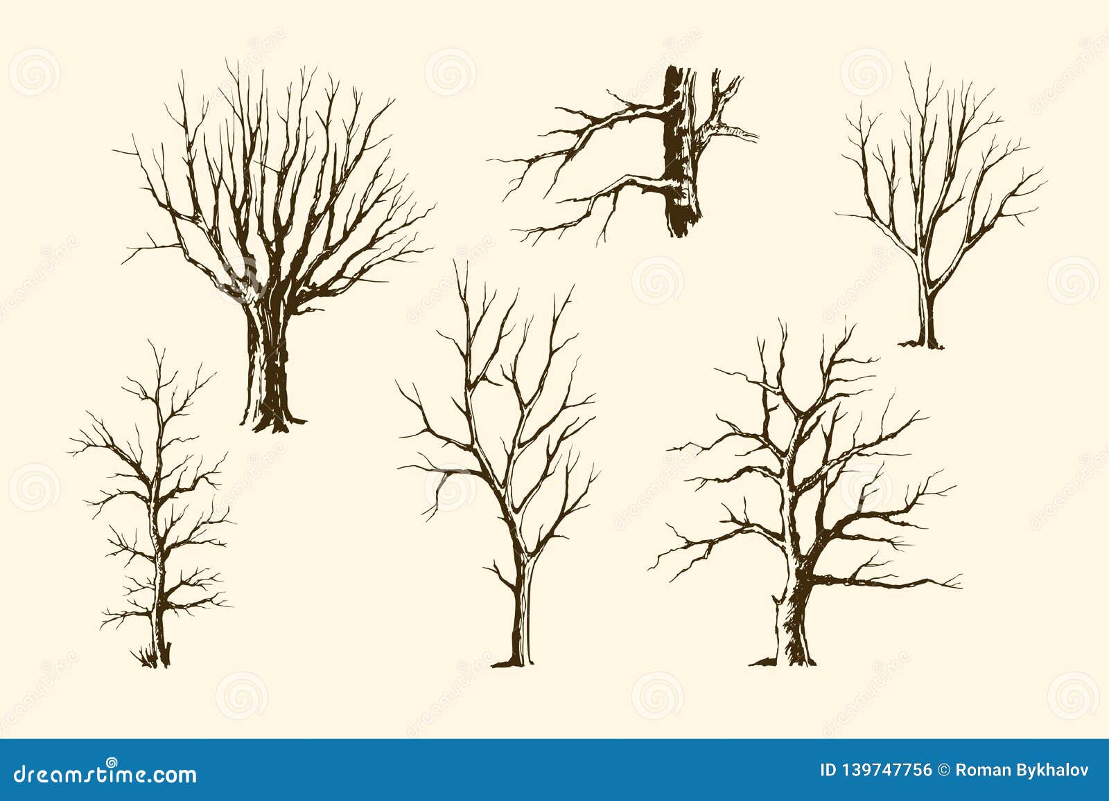 Trunks of trees vector set stock vector. Illustration of autumn - 139747756