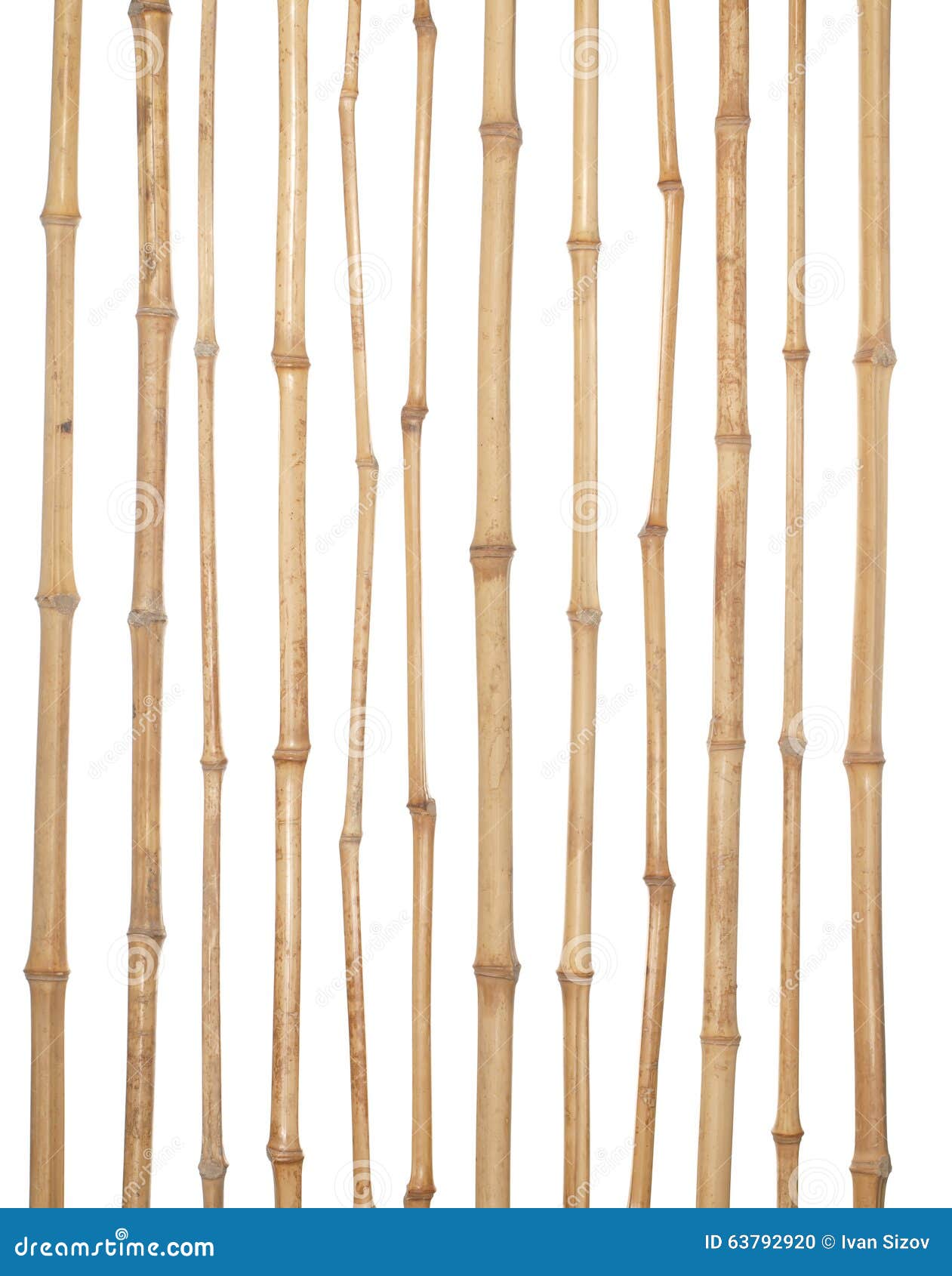 The Trunks of Various Thicknesses of Dry Bamboo Isolated on Whit Stock ...