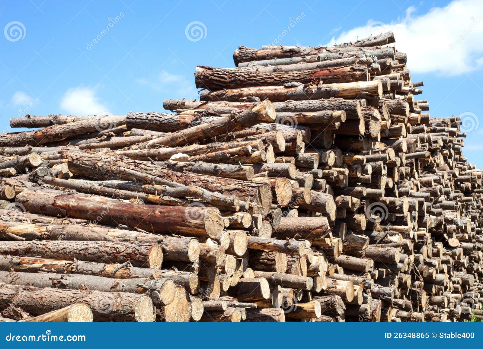 Trunks of wood stock image. Image of nature, environment - 26348865