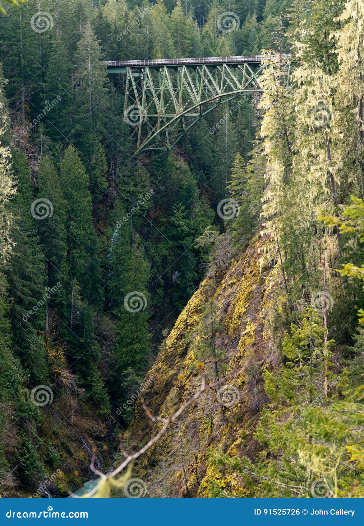 Truss Arch Bridge stock photo. Image of bridge, forest - 91525726