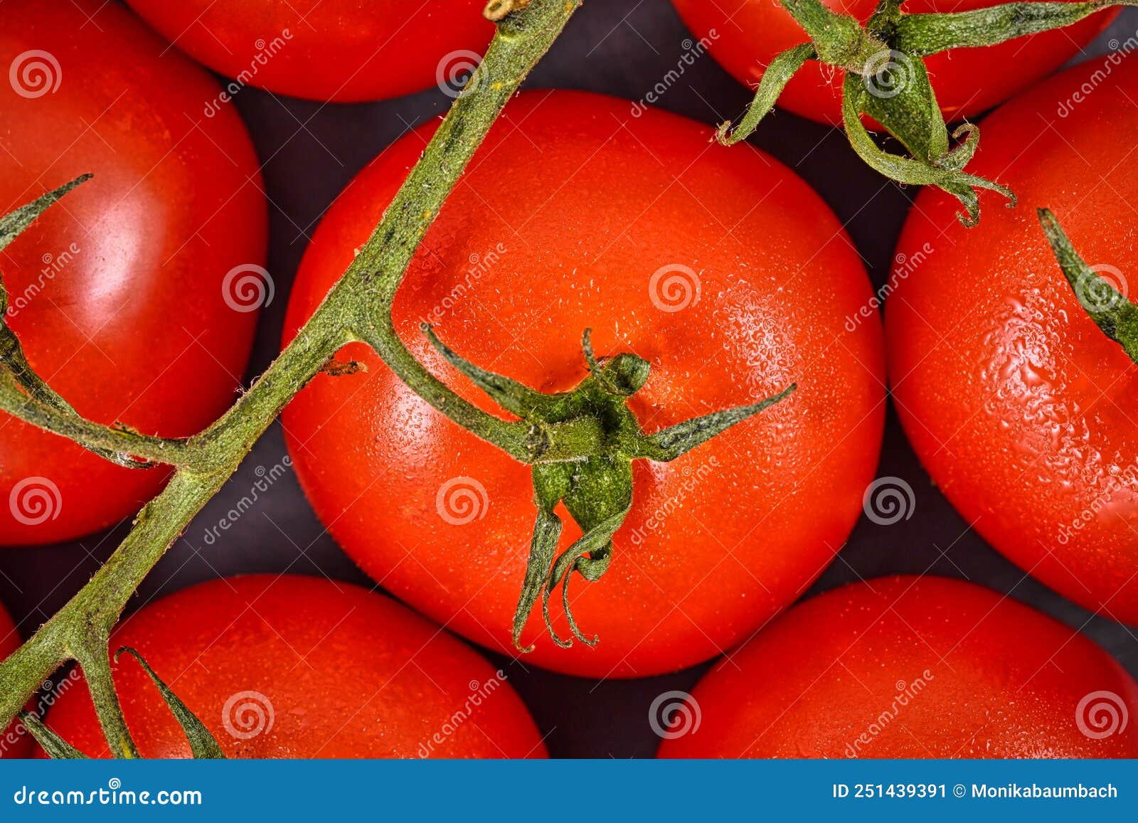 Trusses of Small Ripe Tomatoes Stock Image - Image of food, close ...