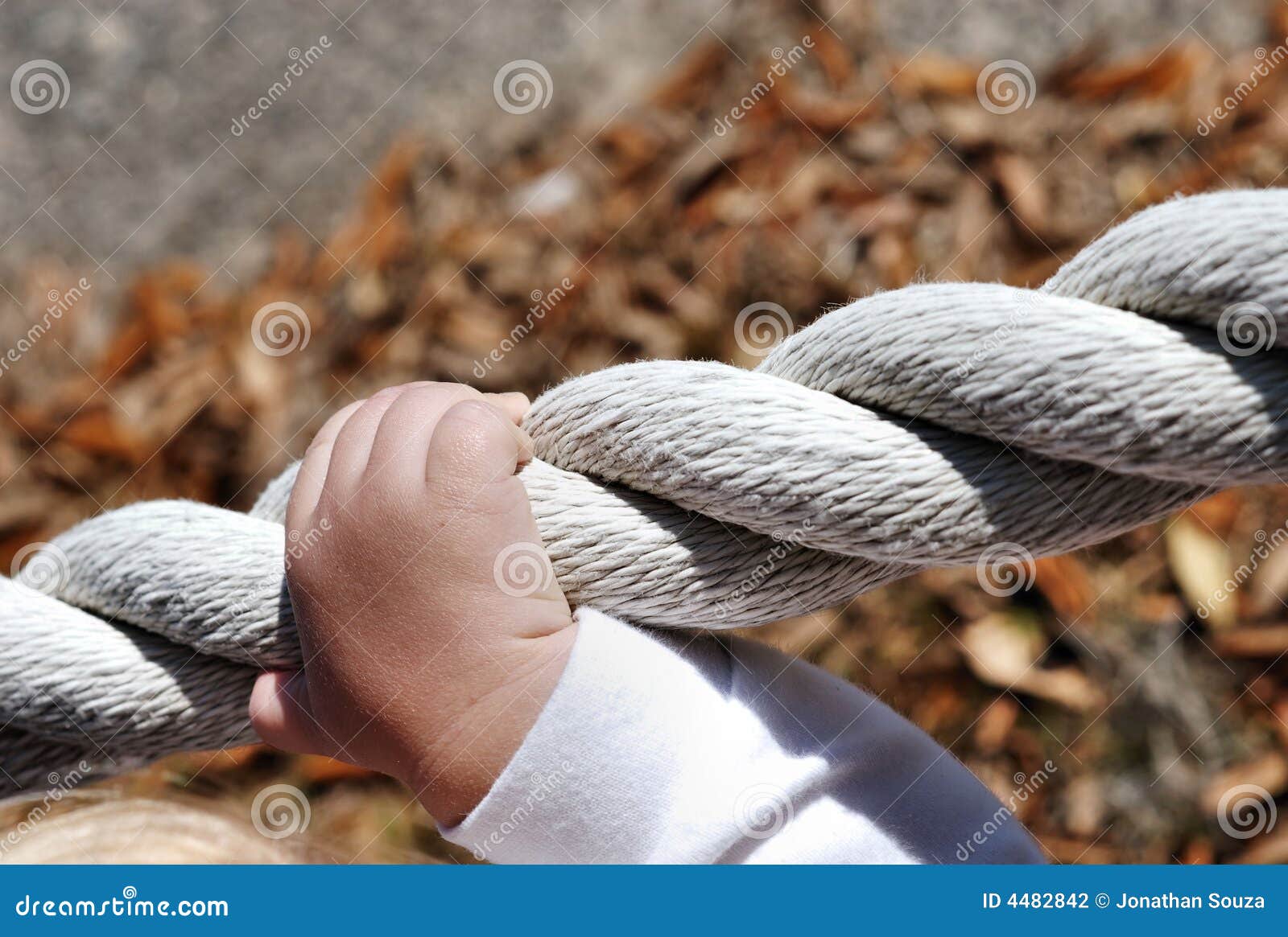 Trusting hands on a rope stock photo. Image of fingers - 4482842
