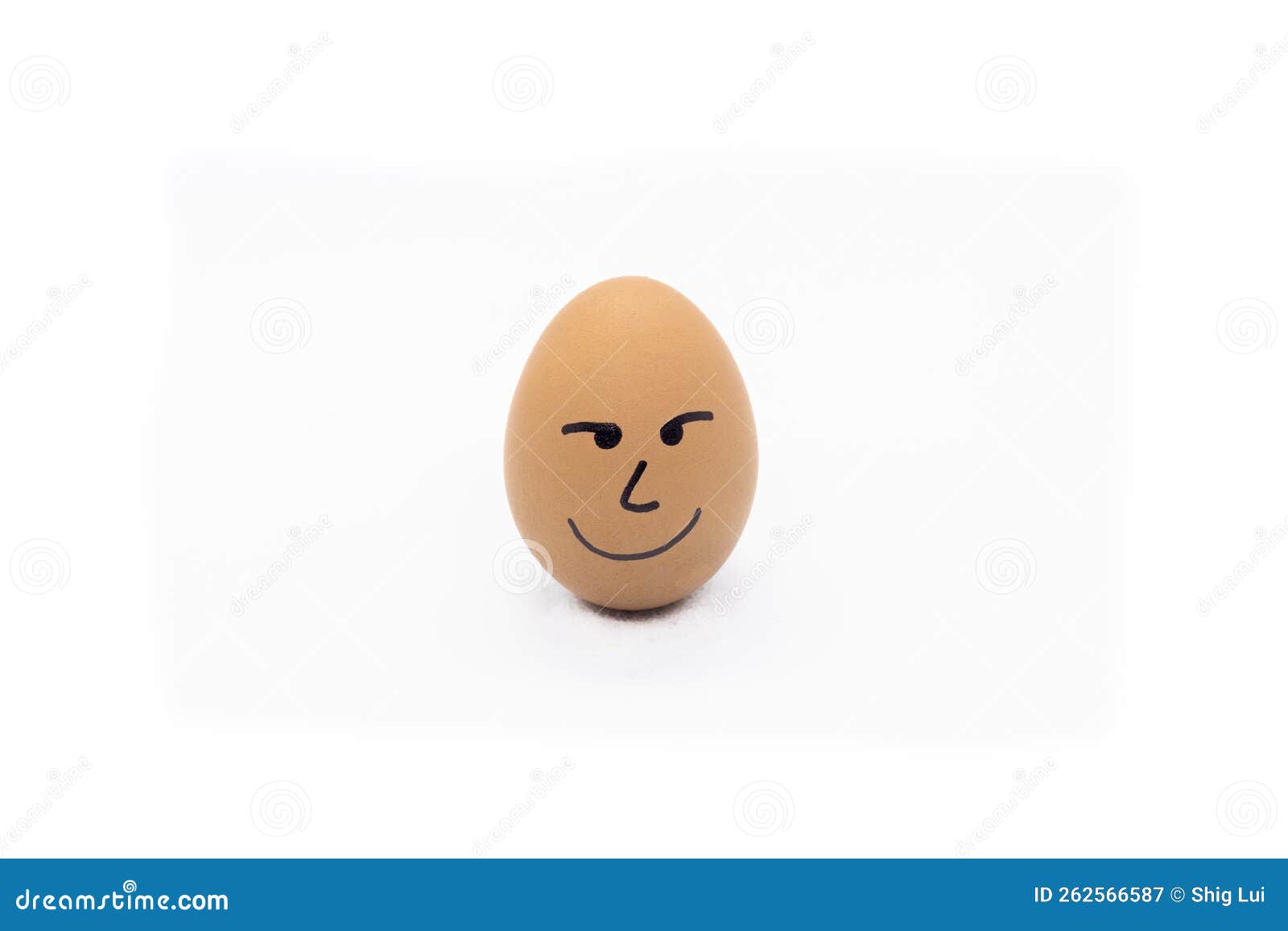 A Trusty Egg on White Background Stock Image - Image of confused ...