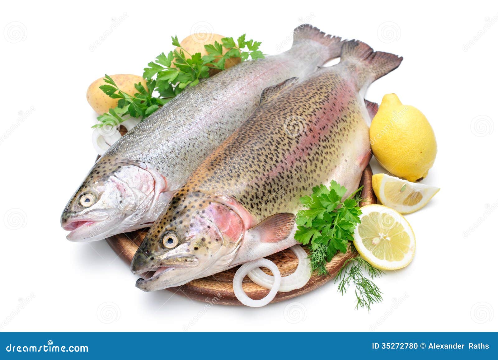 Truta arco-íris foto de stock. Imagem de peixes, vegetais - 35272780