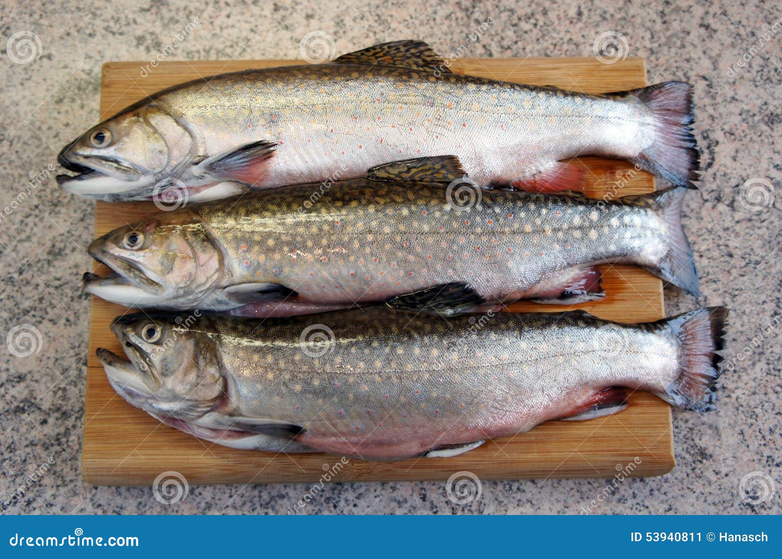 Truta Pronta Para Processar a Cozinha Imagem de Stock - Imagem de ...