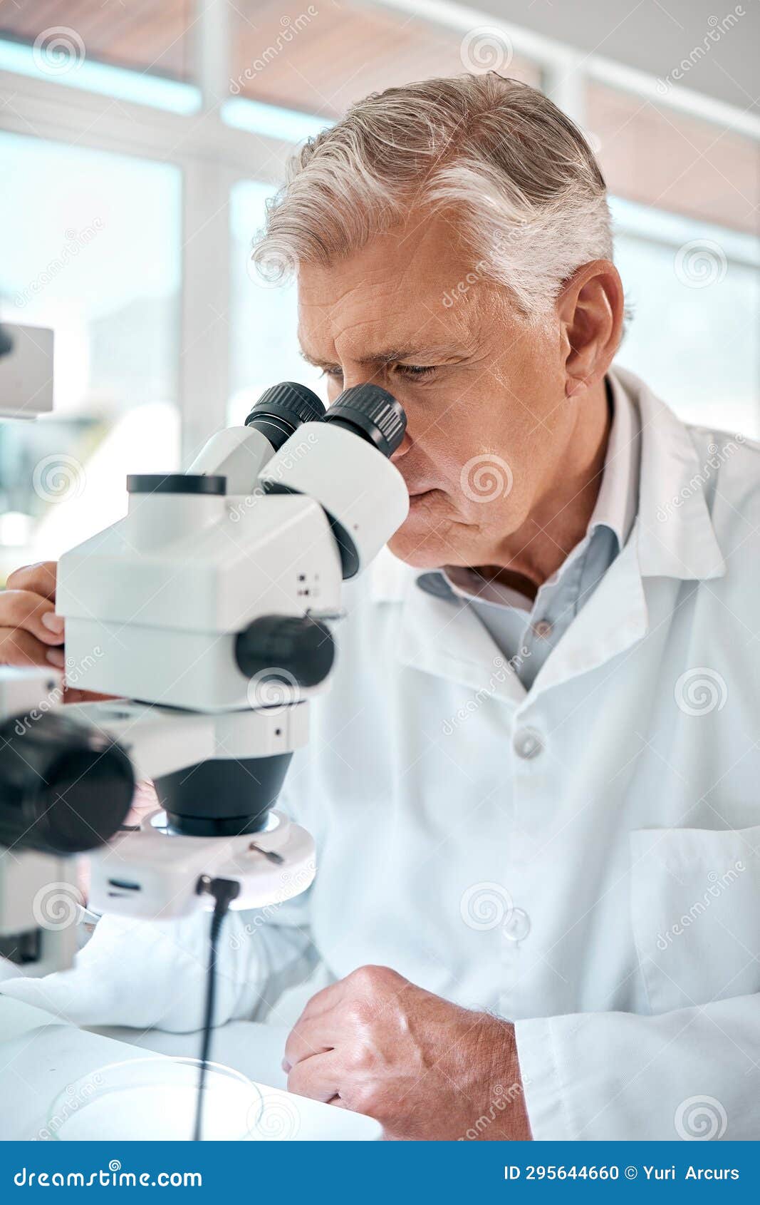 The Truth Lies Under the Lens. a Senior Scientist Using a Microscope in ...