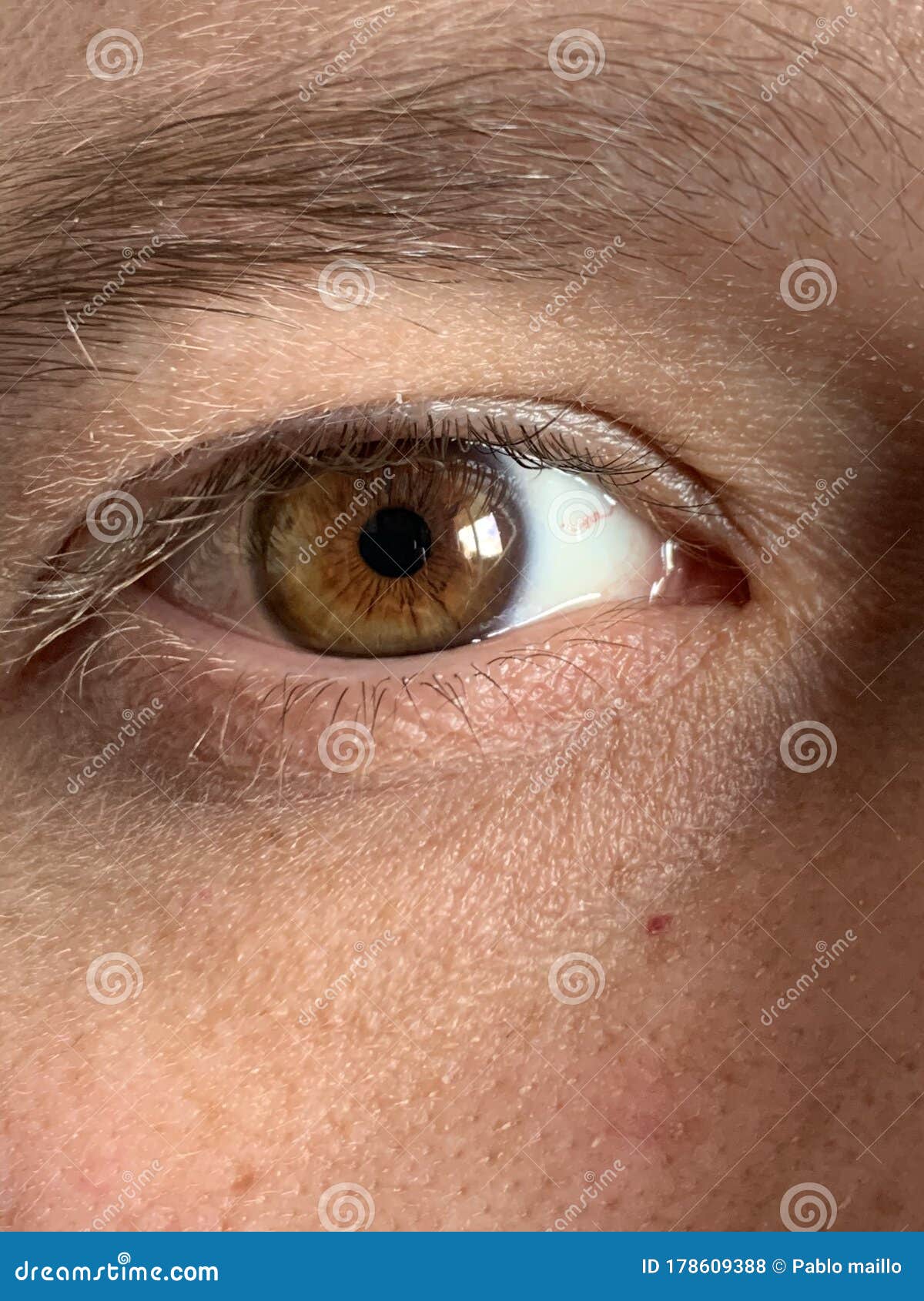 The truth on a mans eye stock photo. Image of iris, truth - 178609388