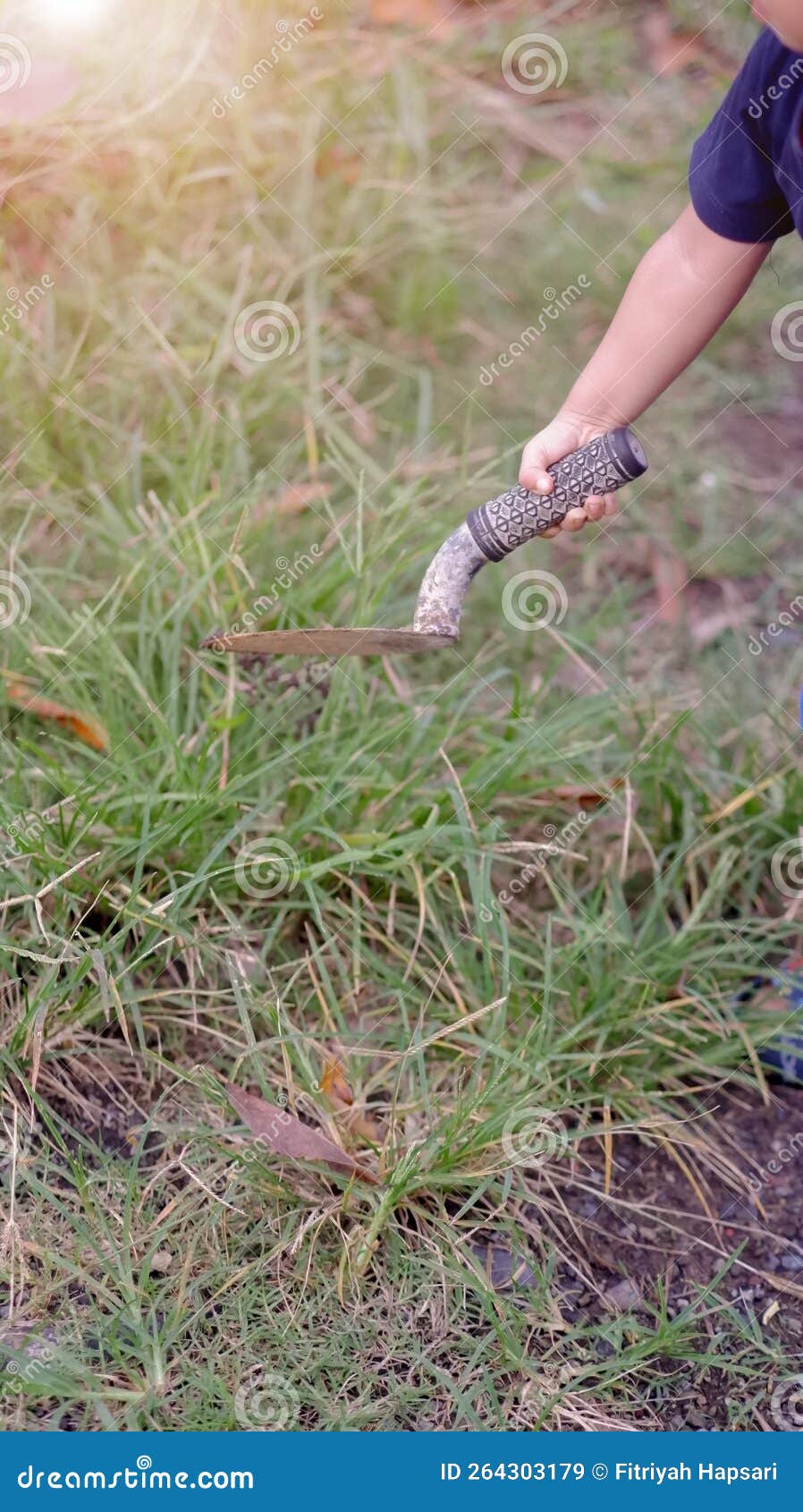 Try to dig stock image. Image of meadow, wildlife, nature - 264303179