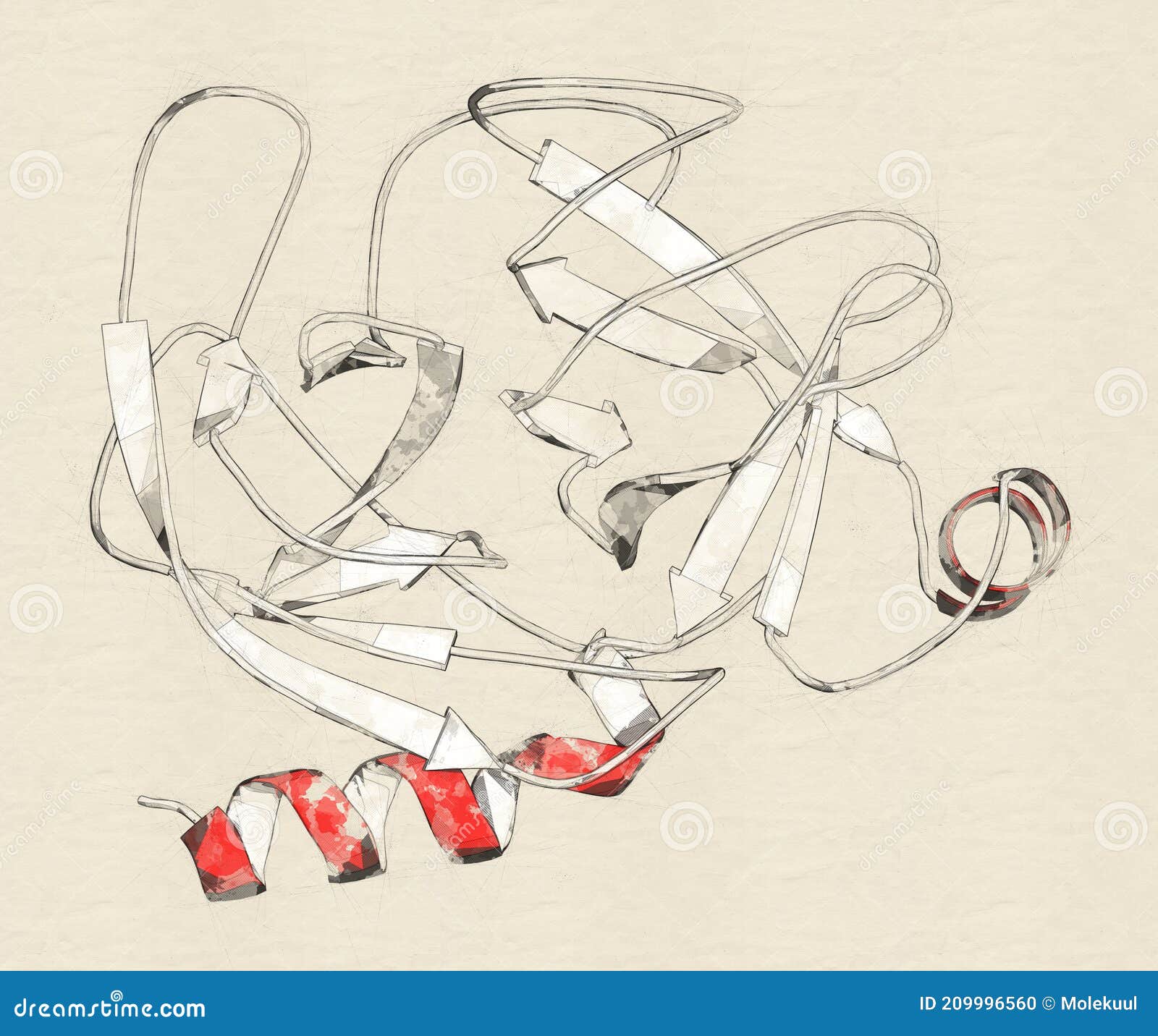 Trypsin Digestion Cartoon
