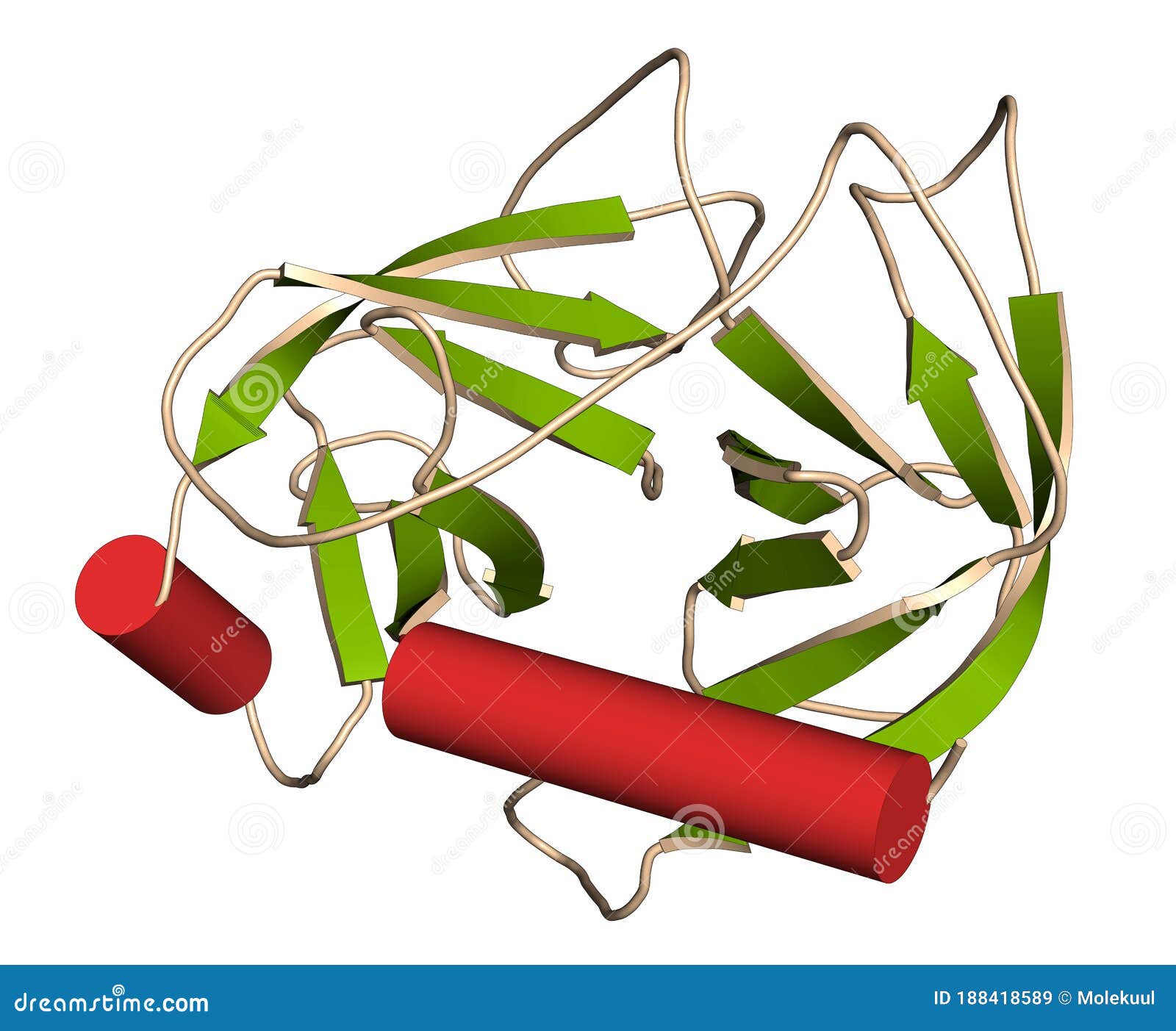 Trypsin Digestive Enzyme Molecule (human). 3D Rendering. Enzyme That ...