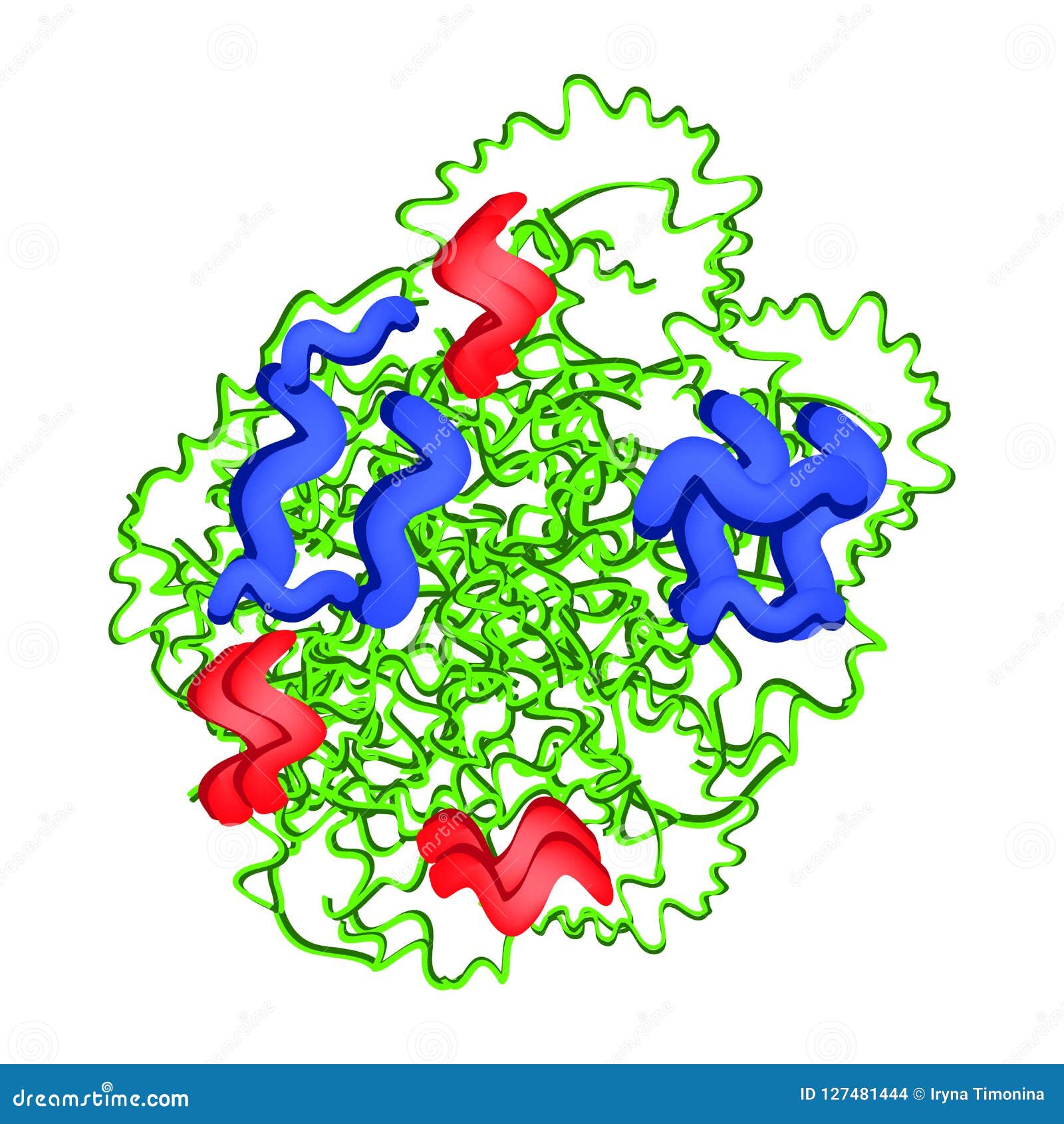 Enzyme Vector Illustration. Labeled Cycle And Diagram With Catalysts ... Enzyme Vector Illustration. Labeled Cycle And Diagram With Catalysts ...