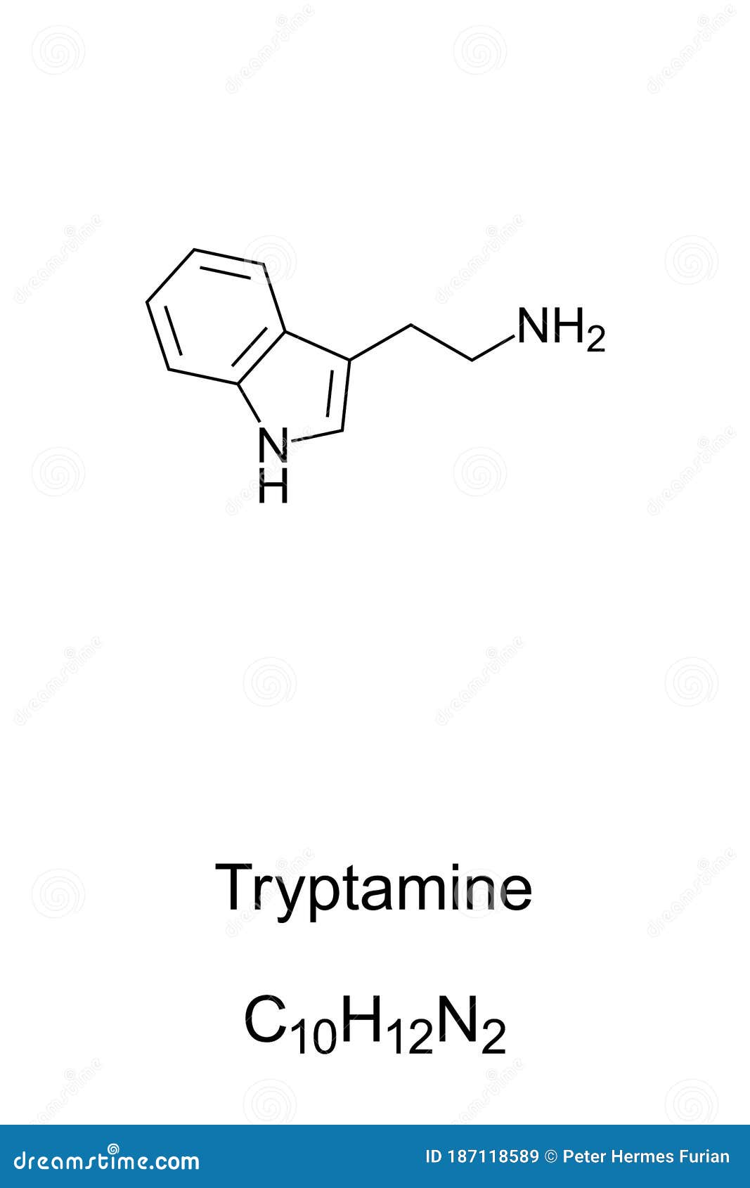 Tryptamine. Skeletal and Structural Formula Stock Vector - Illustration ...
