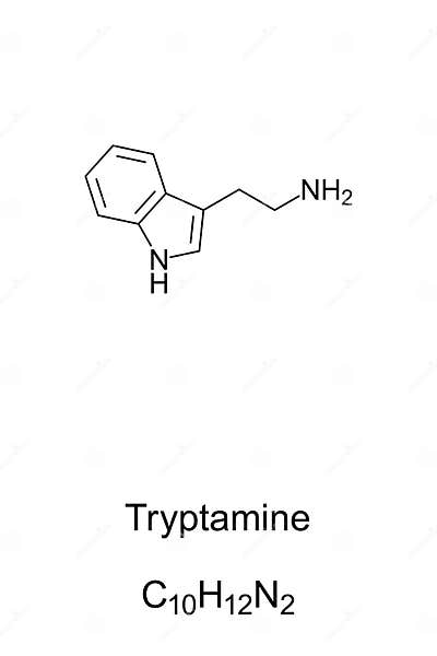 Tryptamine. Skeletal and Structural Formula Stock Vector - Illustration ...