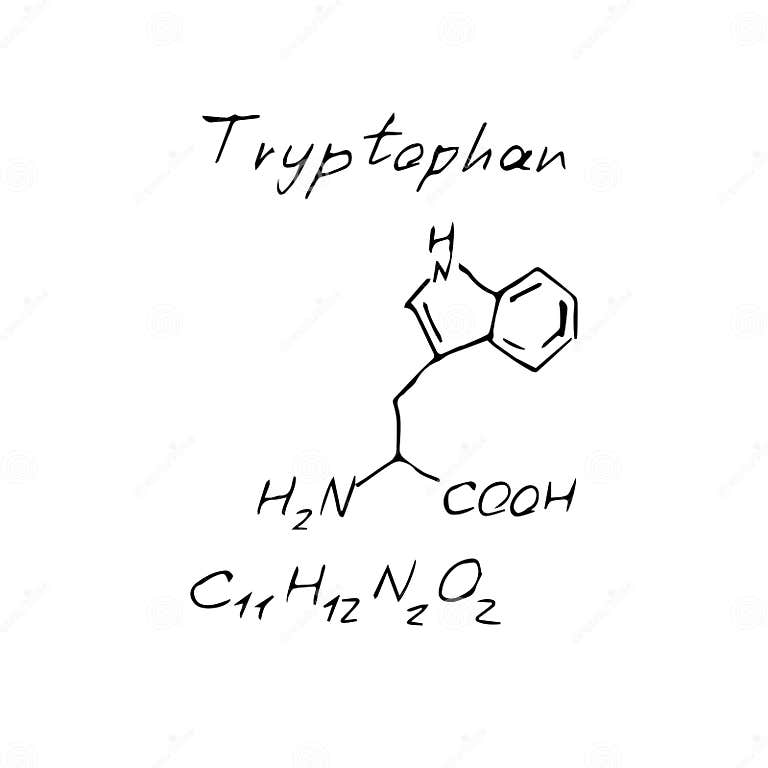 Tryptophan C11H12N2O2 Molecule Formula. Hand Drawn Imitation of ... Tryptophan C11H12N2O2 Molecule Formula. Hand Drawn Imitation of ...