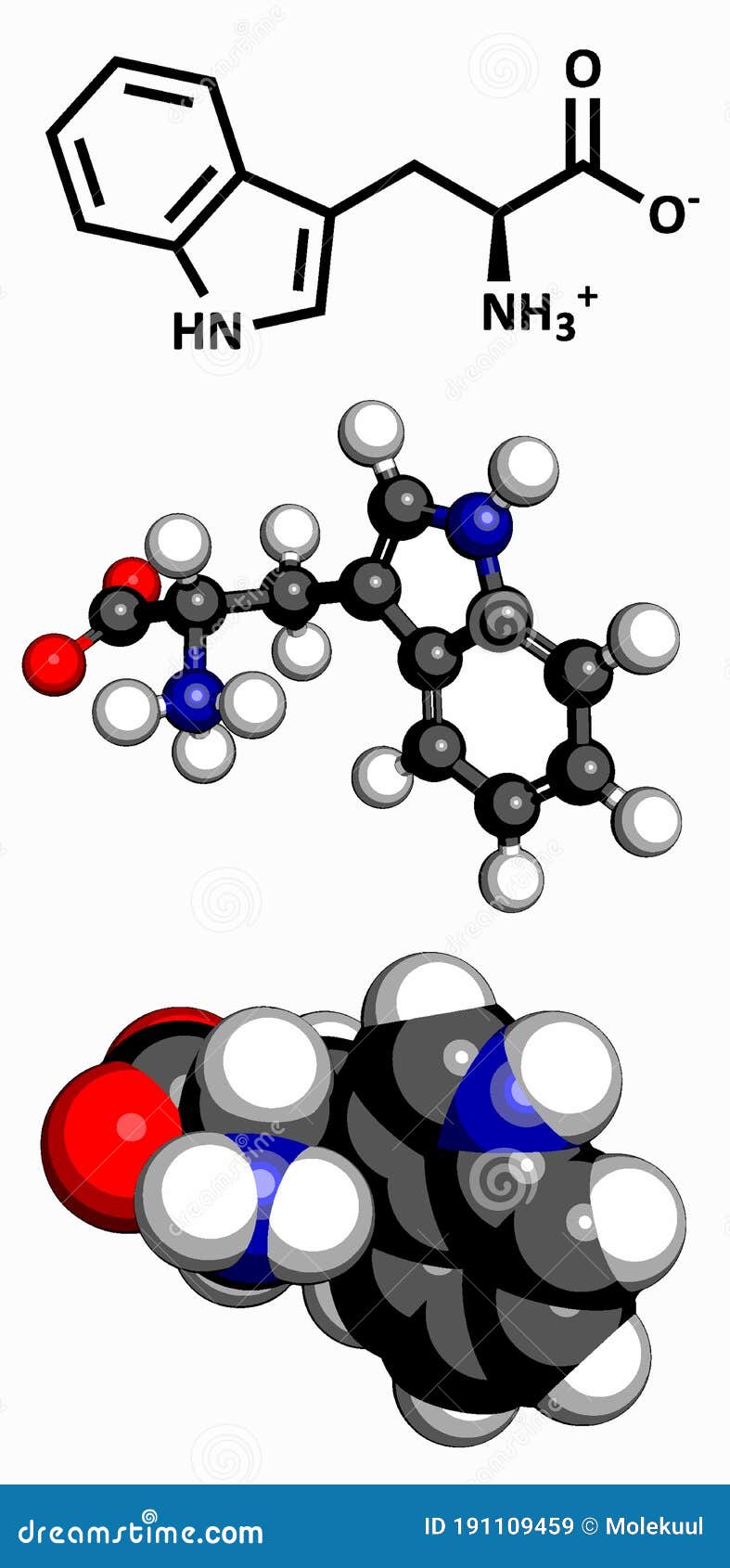 Tryptophan L-tryptophan, Trp, W Amino Acid Molecule. Stock Vector ...