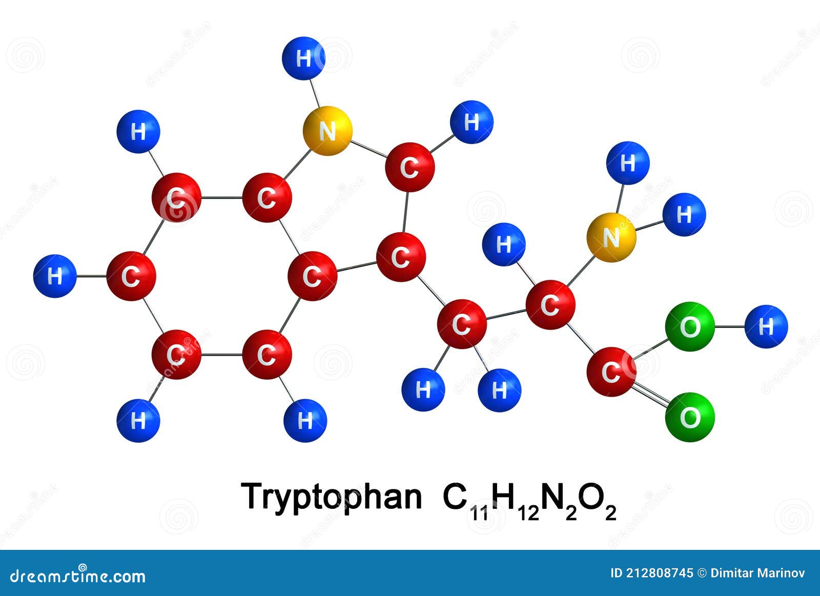 Tryptophan. Chemical Structural Formula And Model Of Molecule Cartoon ... Tryptophan. Chemical Structural Formula And Model Of Molecule Cartoon ...