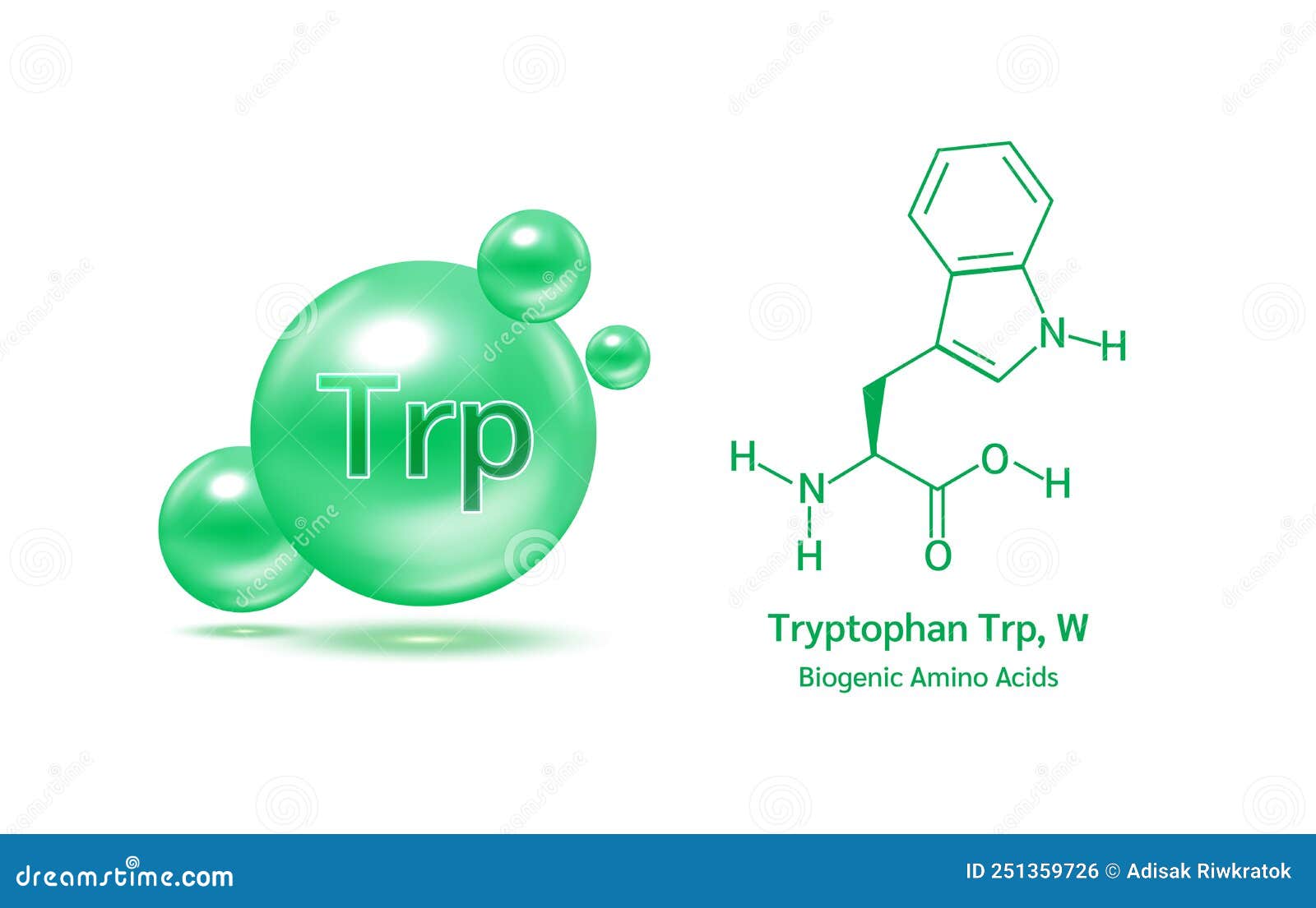Important Amino Acid Tryptophan Trp, W and Structural Chemical Formula ... Important Amino Acid Tryptophan Trp, W and Structural Chemical Formula ...