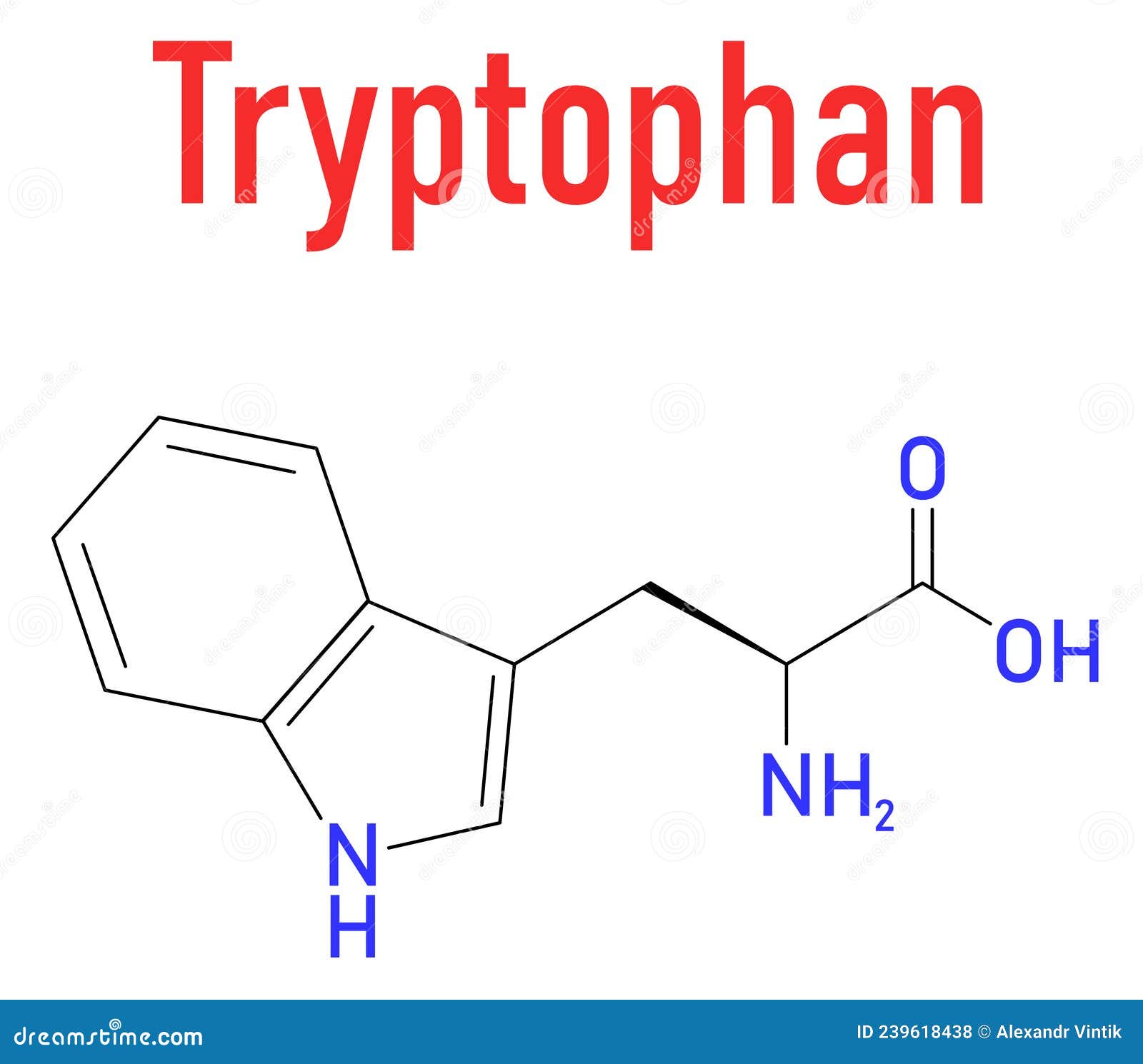 Tryptophan or L-tryptophan, Trp, W Amino Acid Molecule. Skeletal ... Tryptophan or L-tryptophan, Trp, W Amino Acid Molecule. Skeletal ...