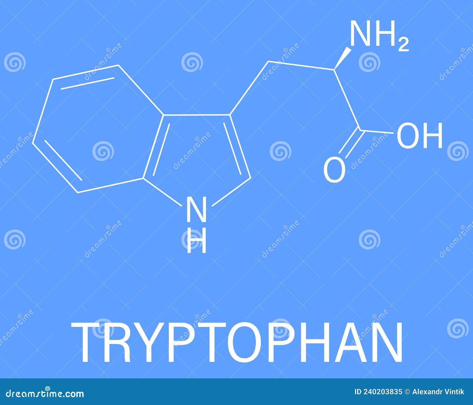 Tryptophan Or L-tryptophan, Trp, W Amino Acid Molecule. Skeletal ... Tryptophan Or L-tryptophan, Trp, W Amino Acid Molecule. Skeletal ...