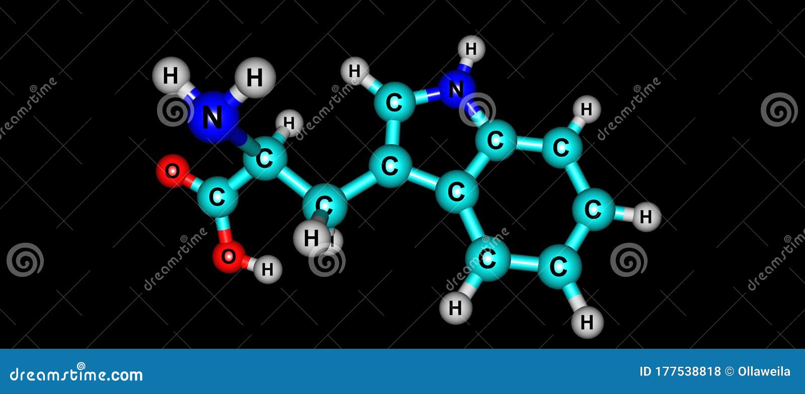 Tryptophan, Molecular Structures, Amino Acid, 3d Model, Structural ... Tryptophan, Molecular Structures, Amino Acid, 3d Model, Structural ...