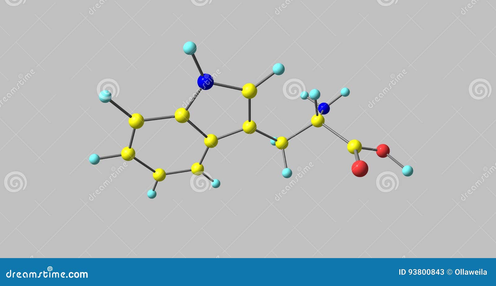 Tryptophan Molecular Structure Isolated on Grey Stock Illustration ...