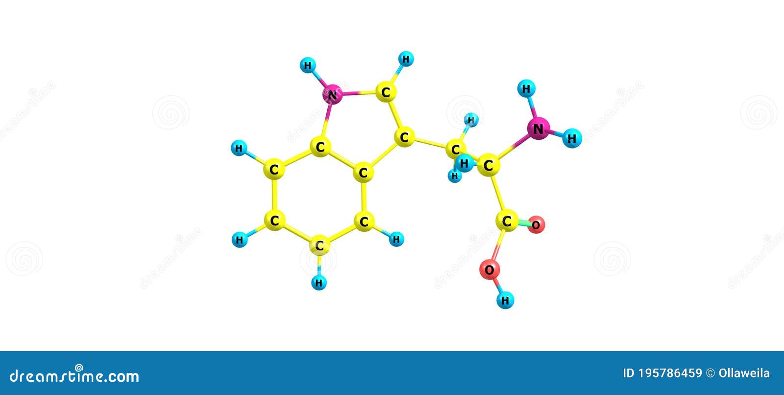 Tryptophan, Molecular Structures, Amino Acid, 3d Model, Structural ... Tryptophan, Molecular Structures, Amino Acid, 3d Model, Structural ...