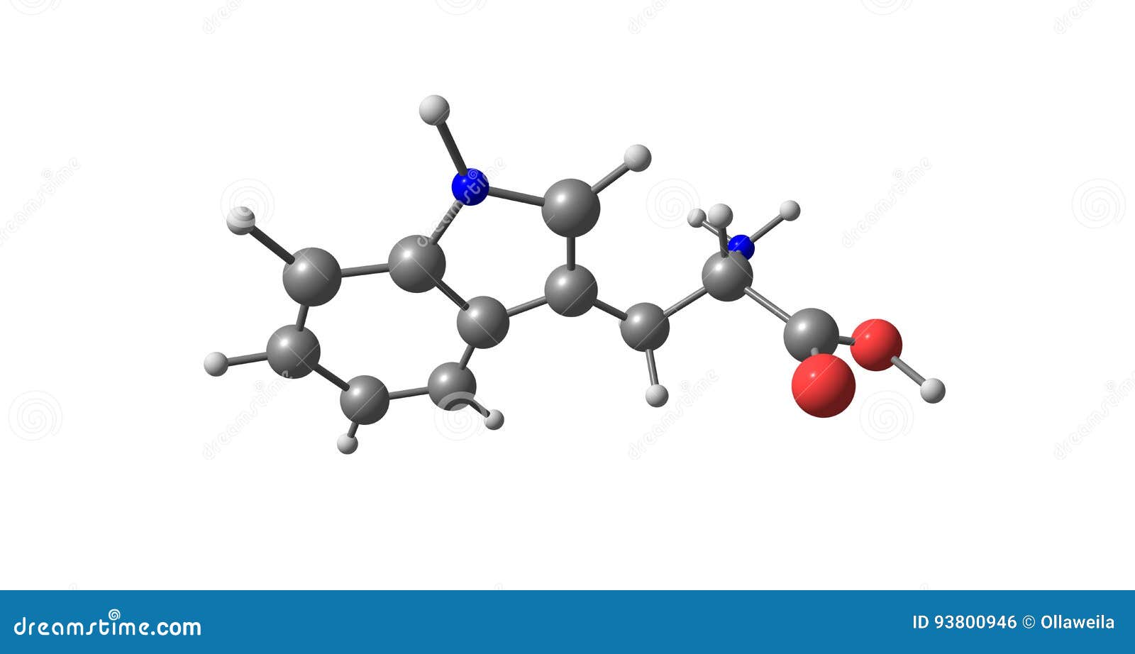 Tryptophan Molecular Structure Isolated on White Stock Illustration ...