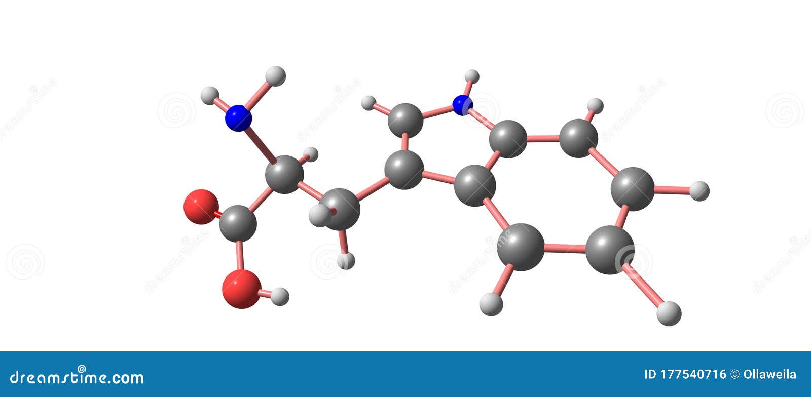 Tryptophan, Molecular Structures, Amino Acid, 3d Model, Structural ... Tryptophan, Molecular Structures, Amino Acid, 3d Model, Structural ...
