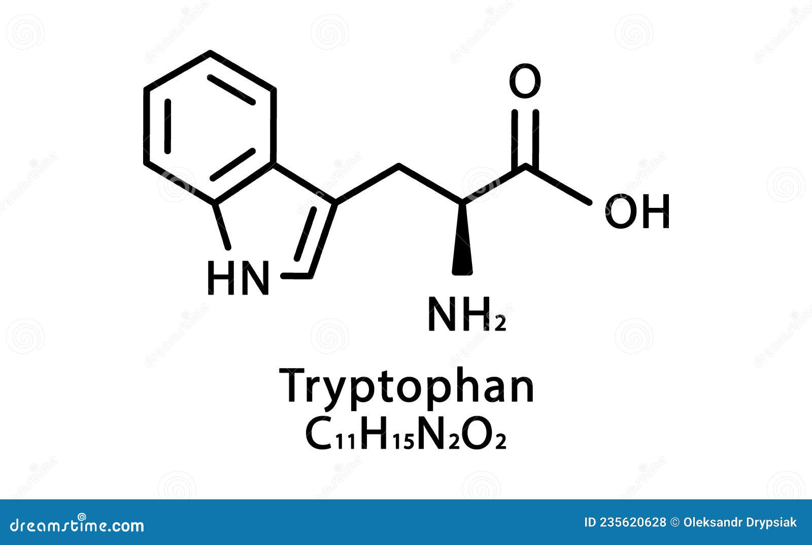 Tryptophan, Molecular Structures, Amino Acid, 3d Model, Structural ... Tryptophan, Molecular Structures, Amino Acid, 3d Model, Structural ...