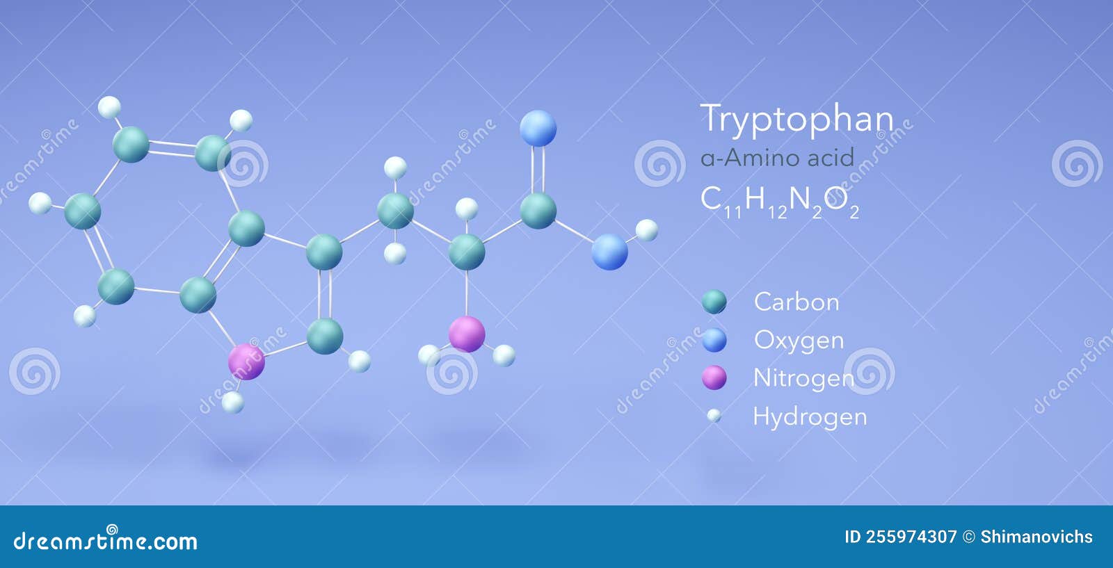 Tryptophan Molecular Structures Amino Acid 3d Model Structural Chemical Formula And Atoms