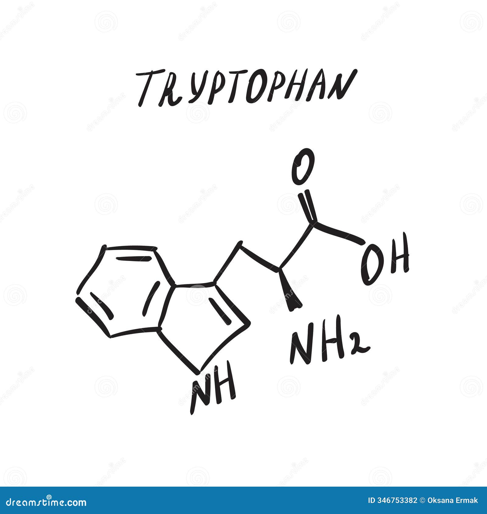 Tryptophan Molecule Formula. Hand Drawn Imitation of Amino Acid ... Tryptophan Molecule Formula. Hand Drawn Imitation of Amino Acid ...