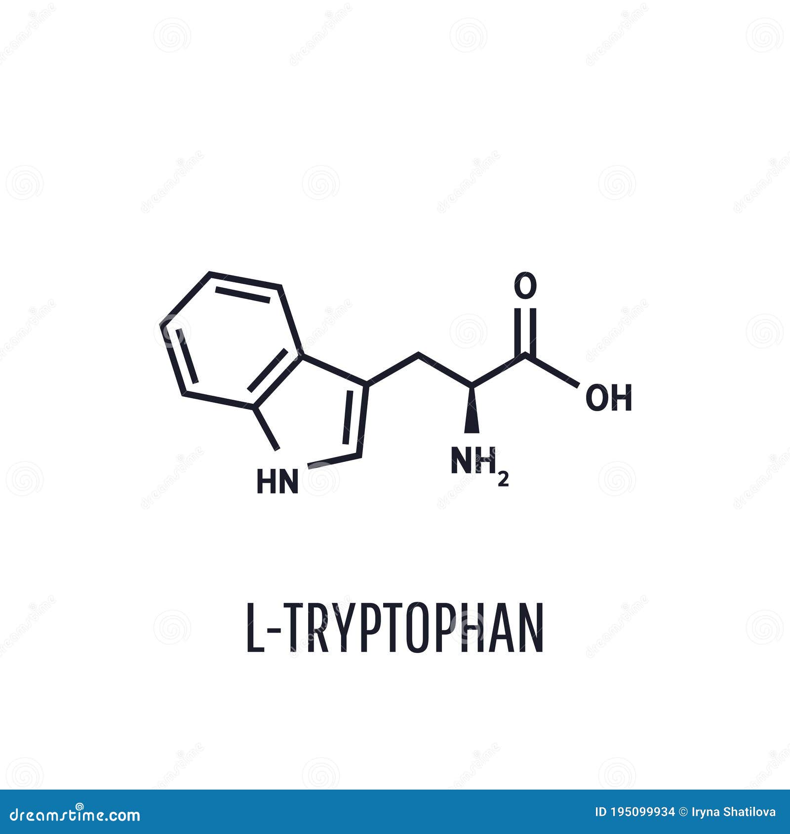 Tryptophan, Skeletal Formula And Molecular Structure Cartoon Vector ... Tryptophan, Skeletal Formula And Molecular Structure Cartoon Vector ...