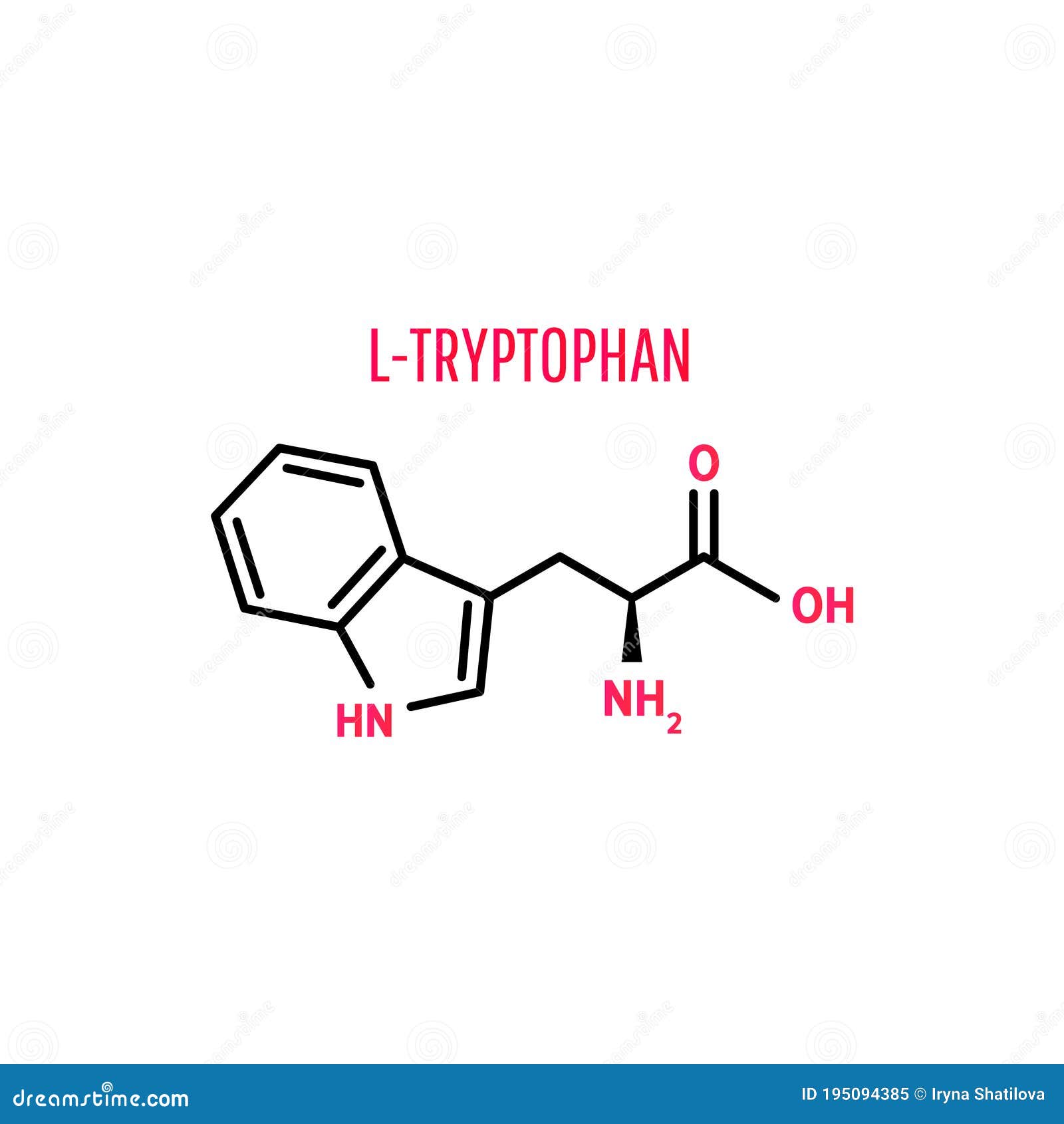 Tryptophan Skeletal Formula And Structure. Vector Illustration On A ...
