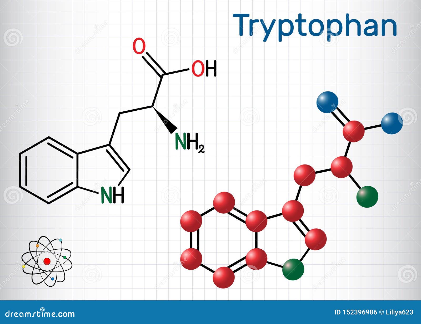 Tryptophan. Chemical Structural Formula And Model Of Molecule Cartoon ... Tryptophan. Chemical Structural Formula And Model Of Molecule Cartoon ...