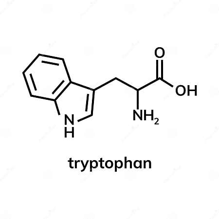 Tryptophan vector icon stock vector. Illustration of formula - 147933968