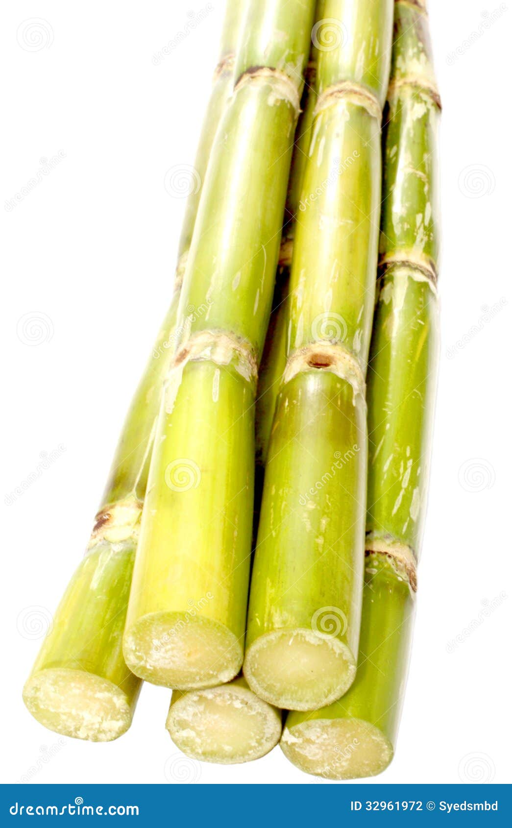 Trzcina cukrowa zdjęcie stock. Obraz złożonej z rolnictwo - 32961972