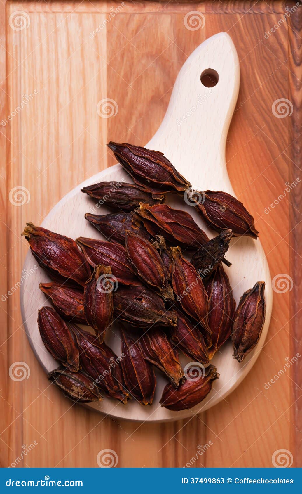 Tsaoko Ou Cao Guo De Amomum Do Fruto Imagem de Stock - Imagem de ...