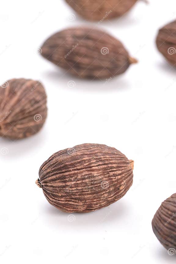 Tsaoko stock image. Image of cardamon, isolated, oriental - 50993415