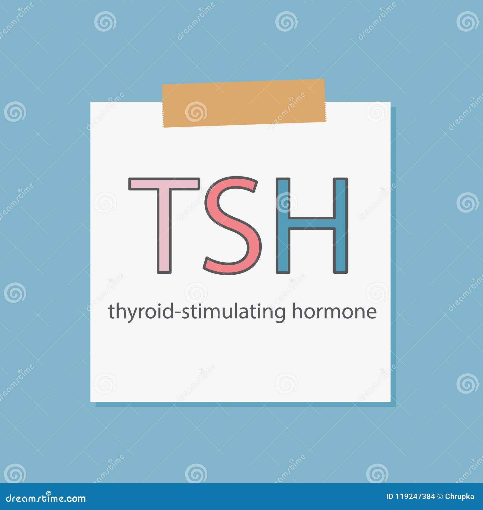 TSH Thyroid-stimulating Hormone Written in a Notebook Paper Stock ...
